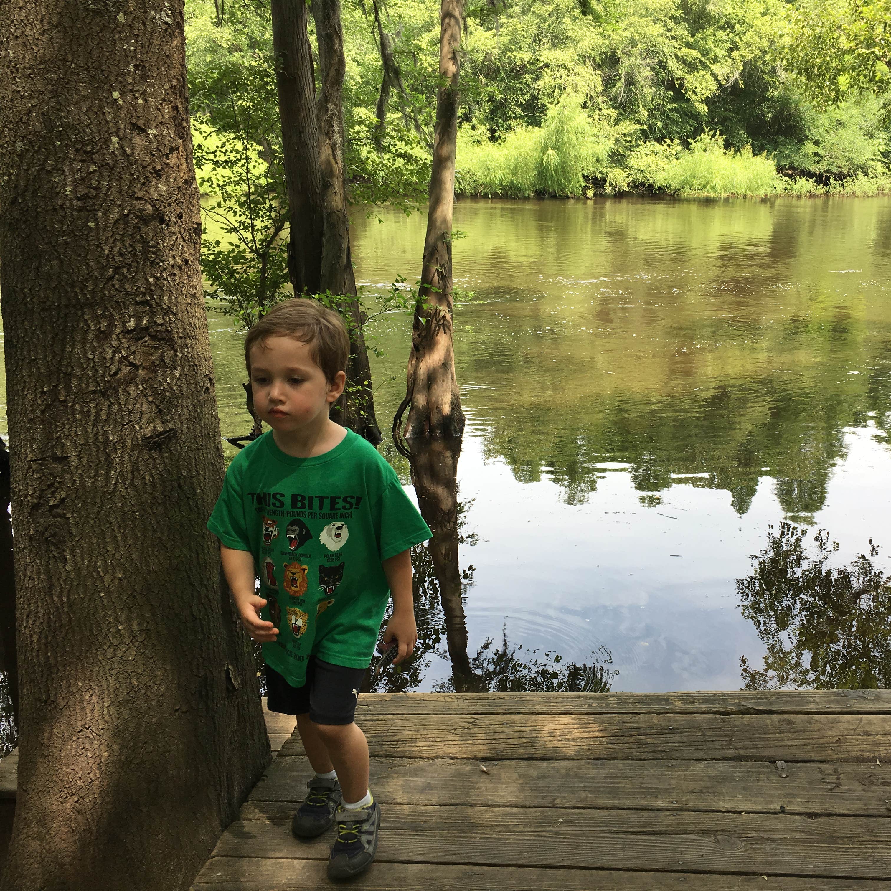 Colleton State Park Camping | The Dyrt