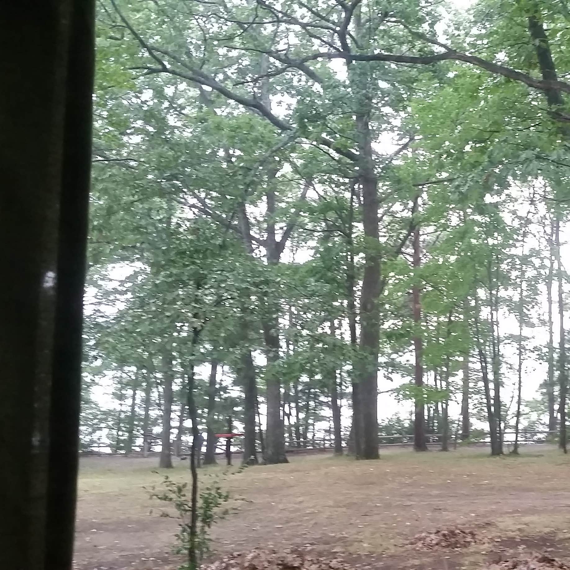 Otsego Lake State Park Camping | The Dyrt