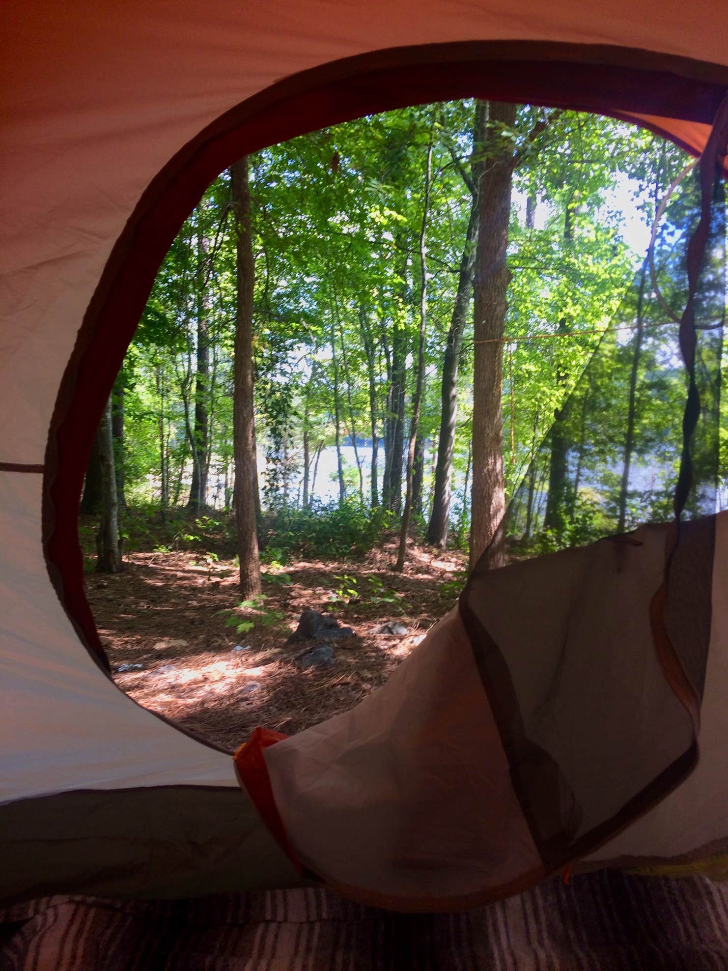 Falls Lake/Holly Point | The Dyrt