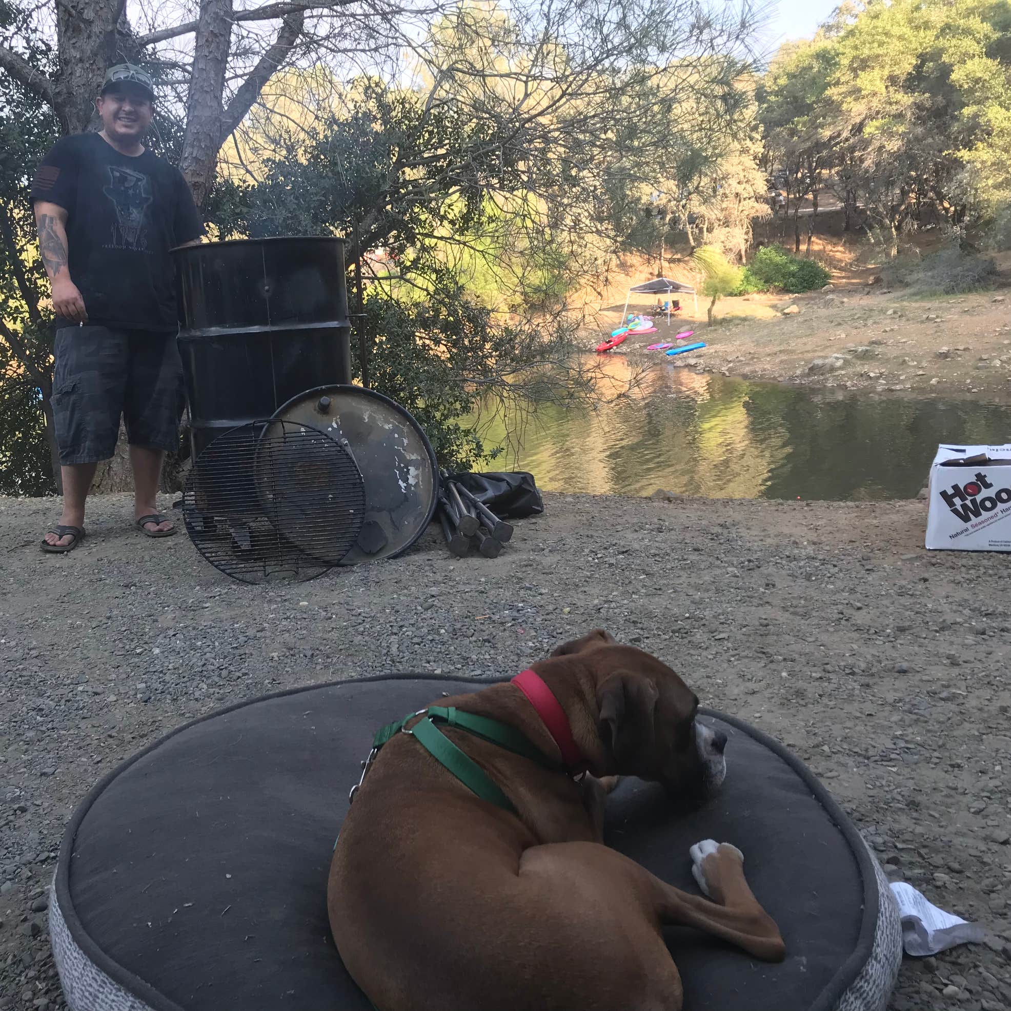 Collins Lake Recreation Area Camping | The Dyrt