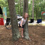 Sears Bellows County Park Camping | Hampton Bays, New York