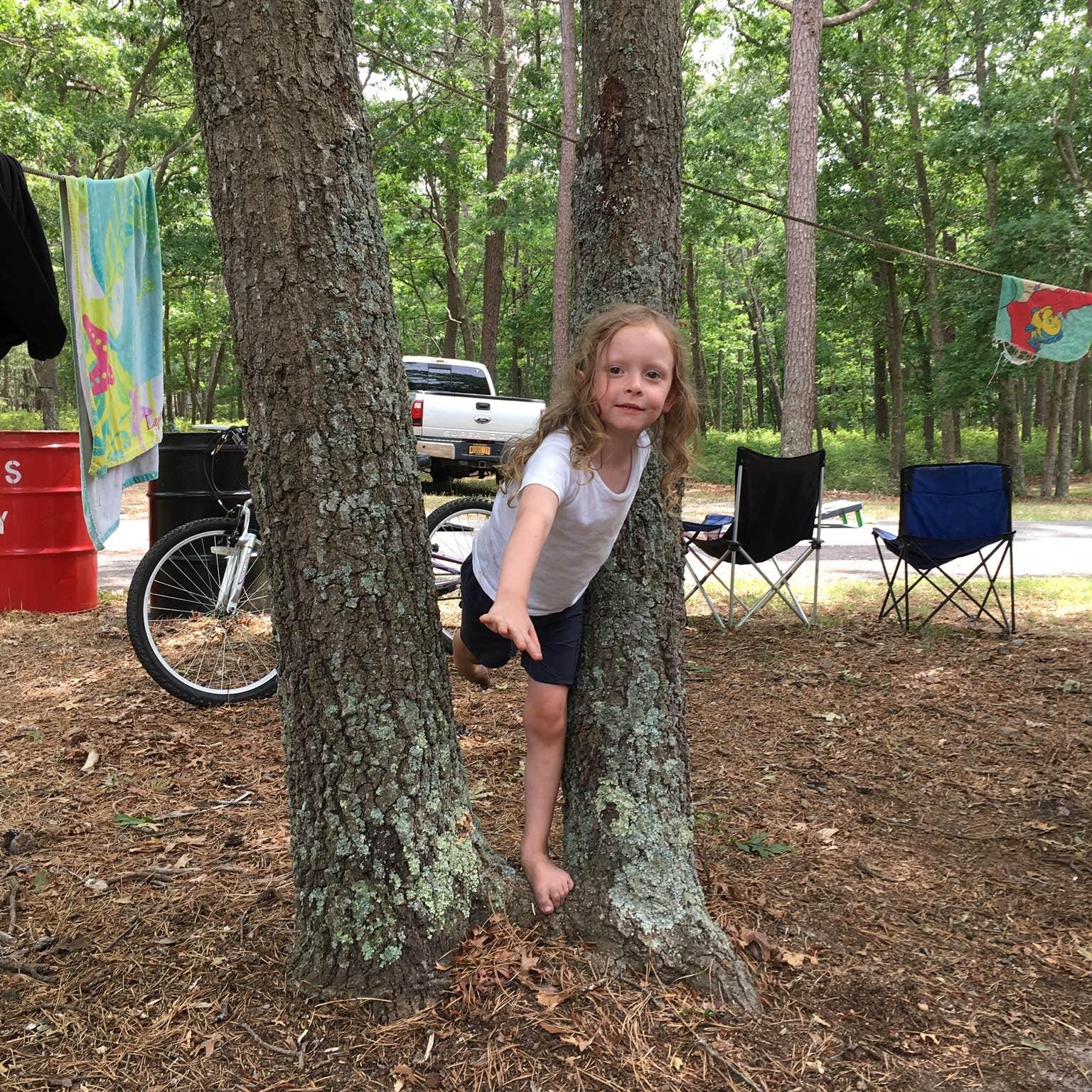 Sears Bellows County Park Camping | Hampton Bays, New York