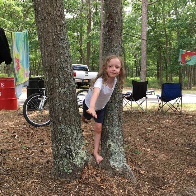 Sears Bellows County Park Camping | Hampton Bays, New York