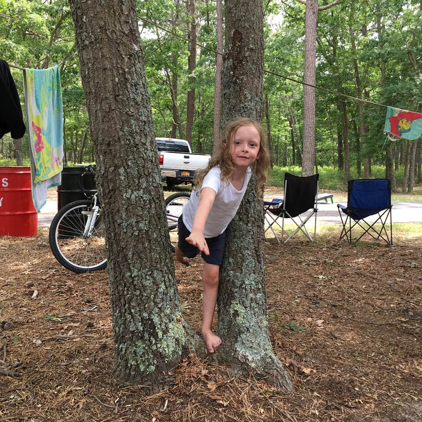 Sears Bellows County Park Camping | Hampton Bays, New York