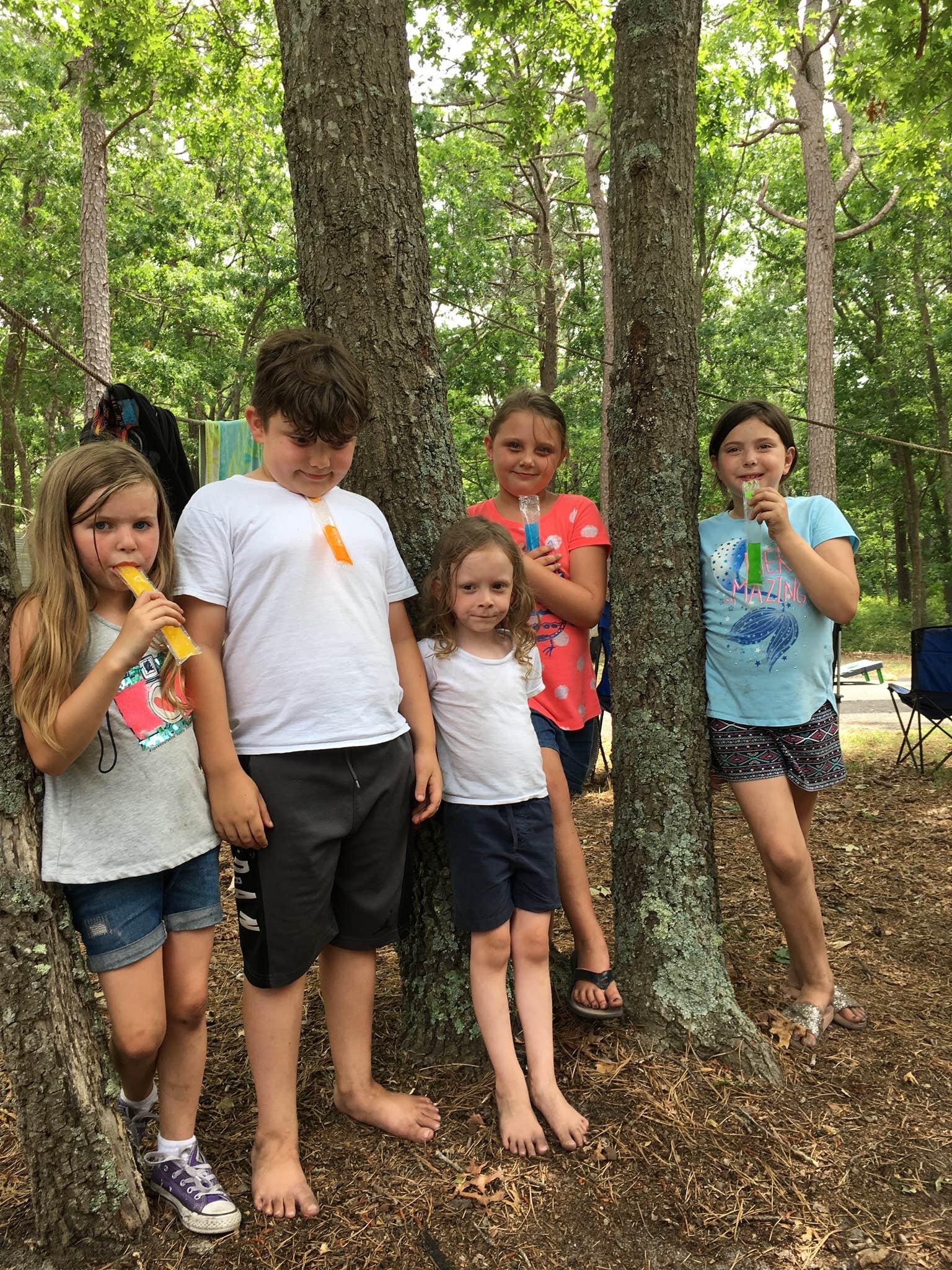 Sears Bellows County Park Camping | Riverhead, NY