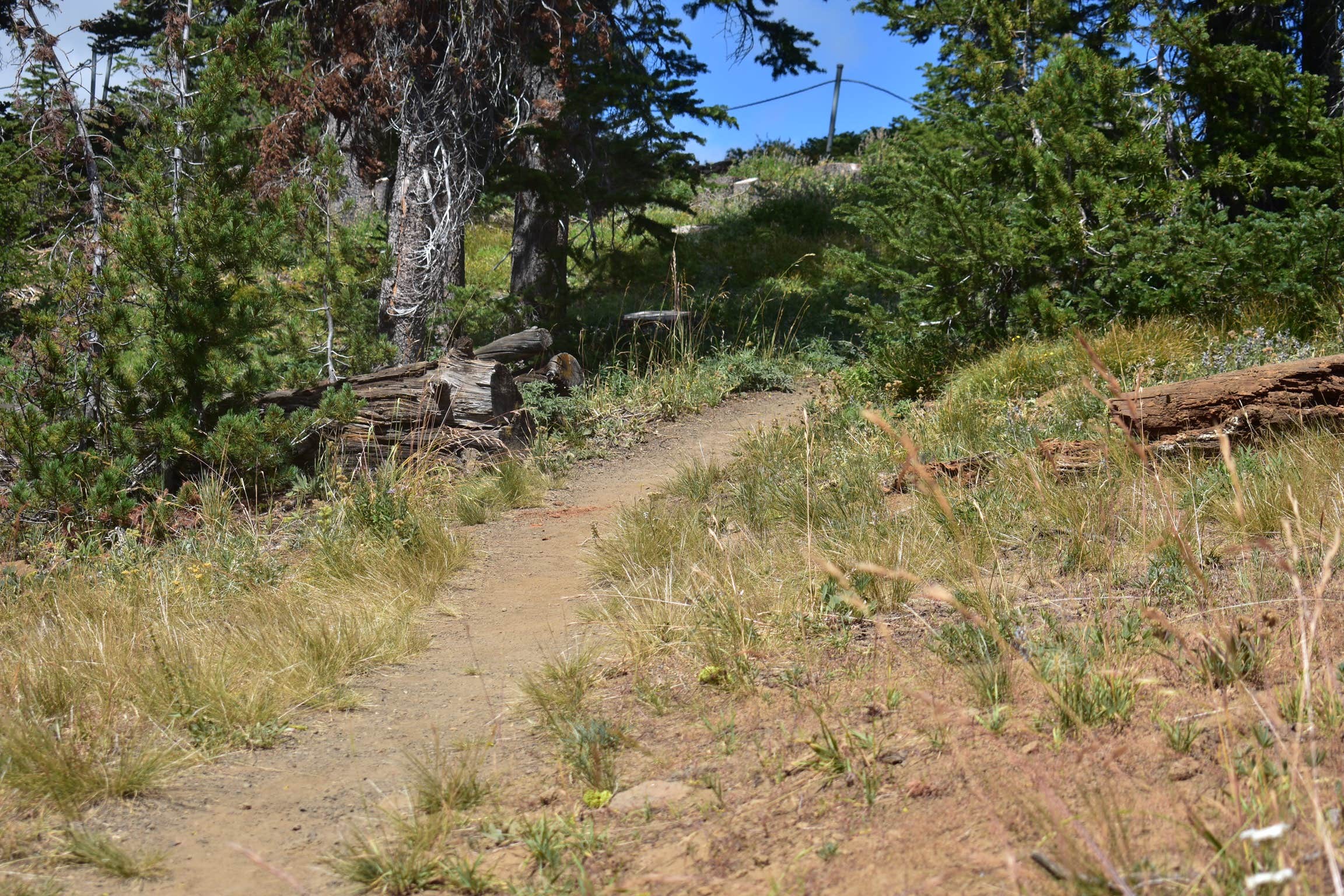 Oconee Point Camping | Hartwell, GA