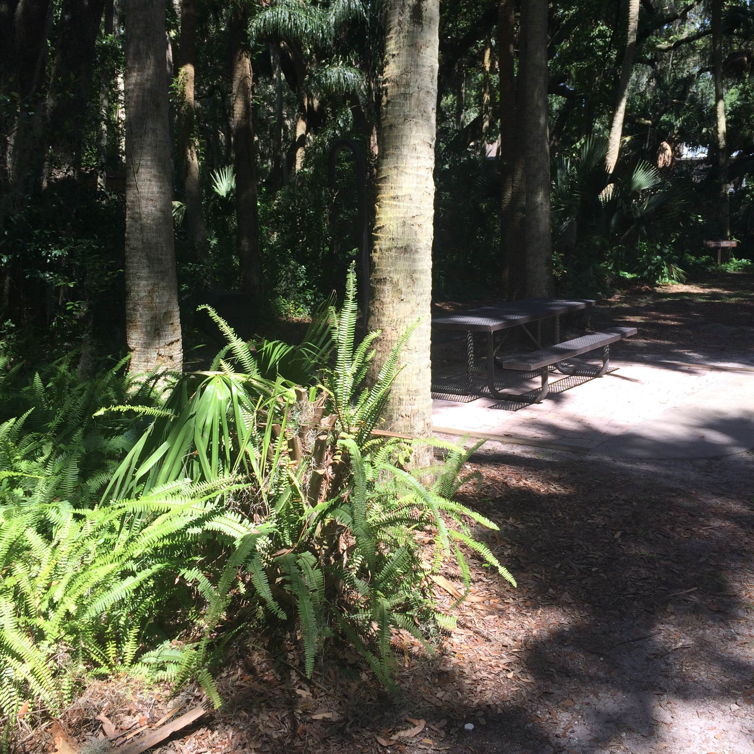 Trimble Park Campground Camping | The Dyrt