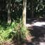Trimble Park Campground Camping | The Dyrt
