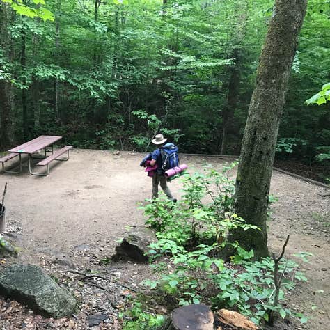 Russell Pond Campground Camping | The Dyrt