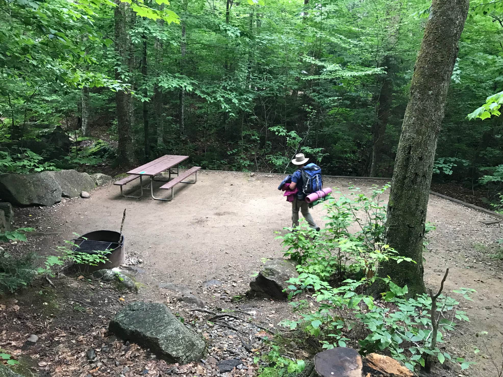 Russell Pond Campground Camping | The Dyrt