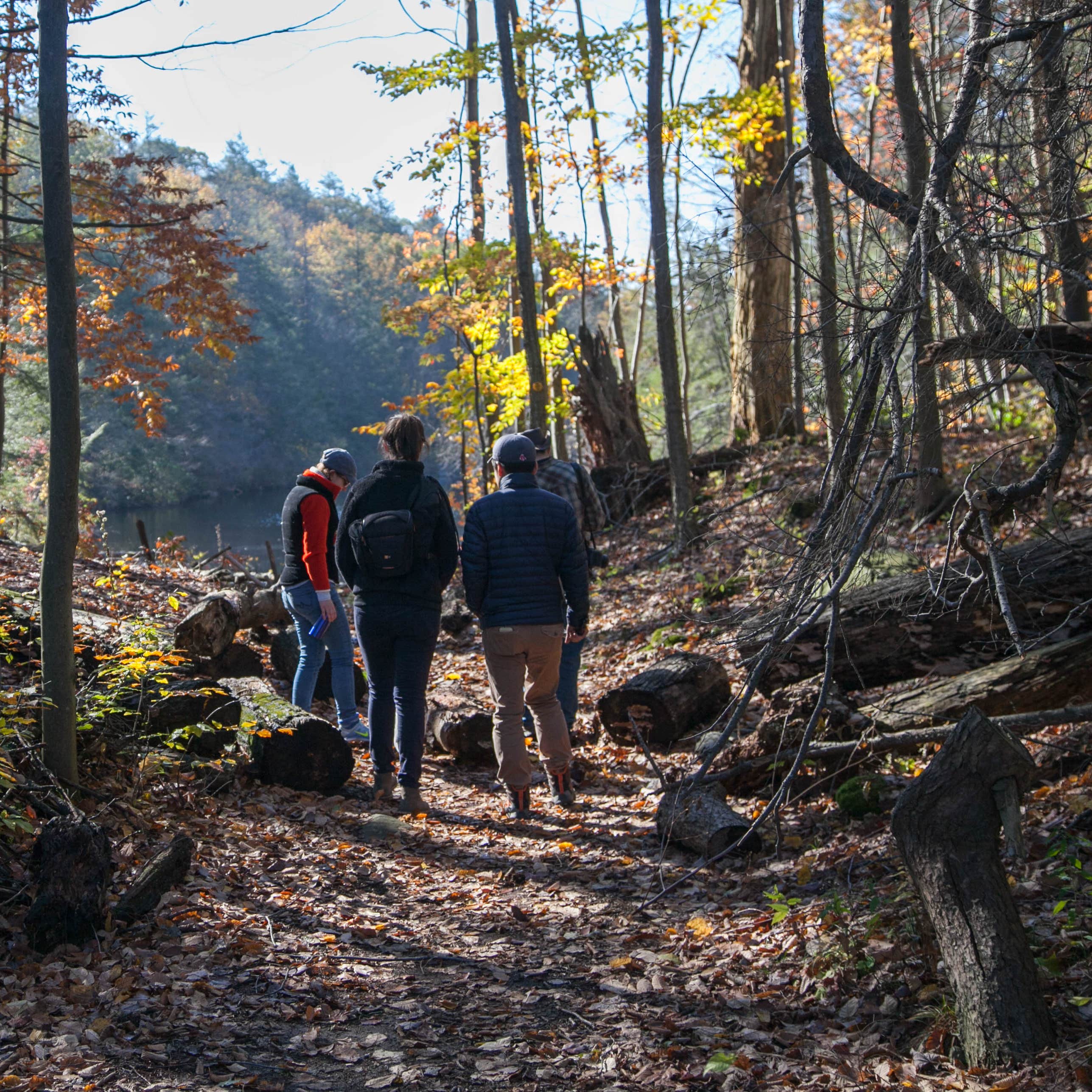 Clarence Fahnestock State Park Camping | The Dyrt