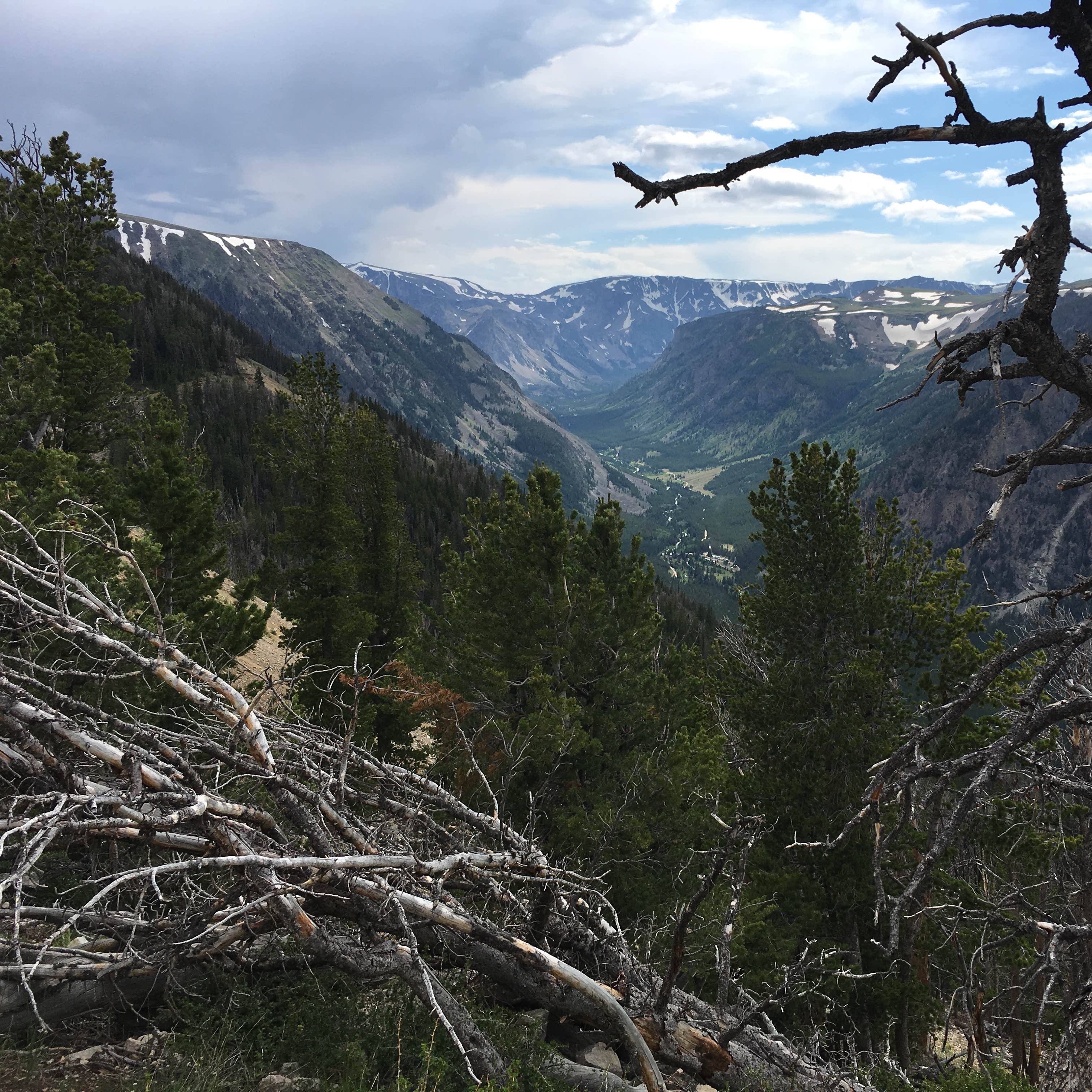 Beartooth Scenic Byway Camping Camping | The Dyrt