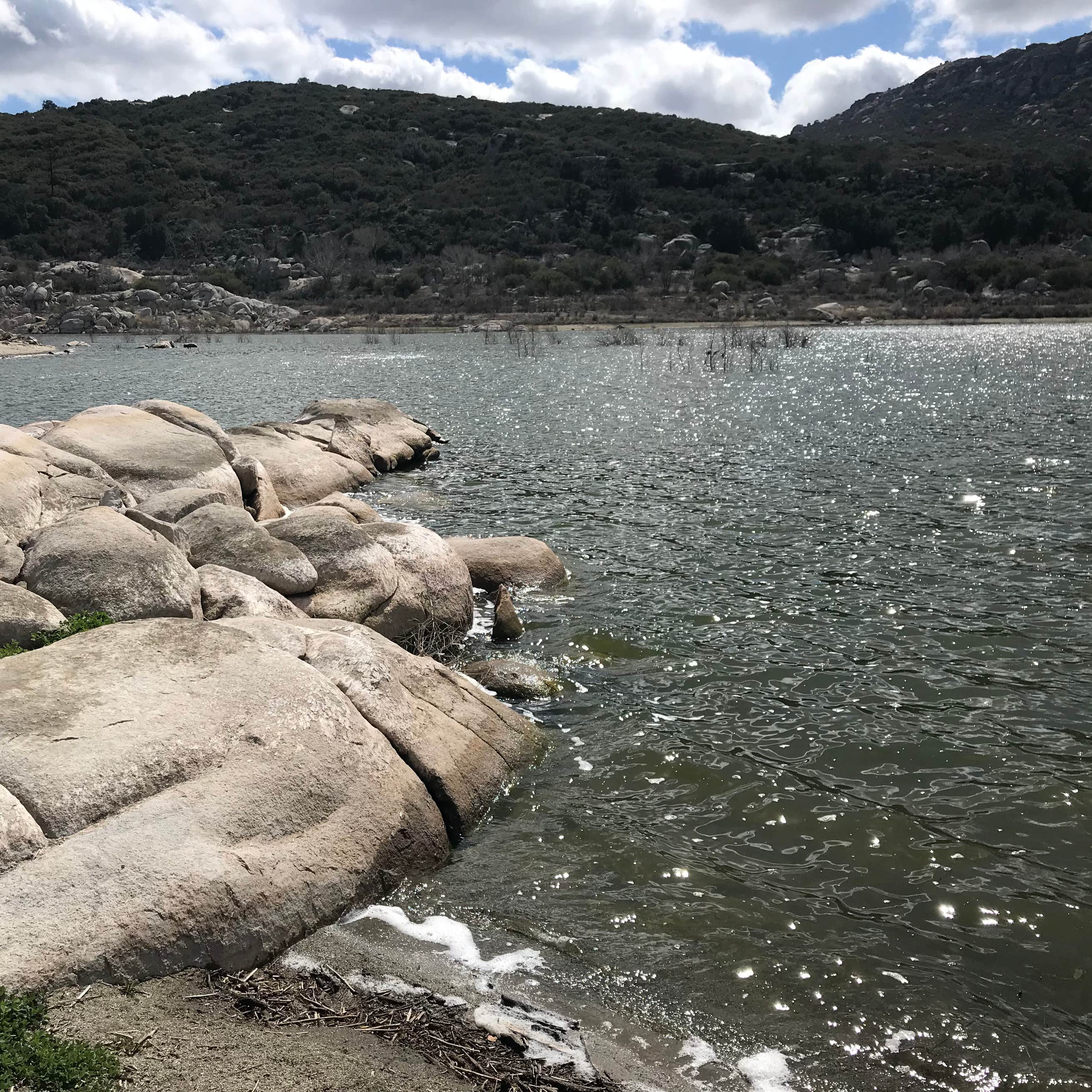 Lake Morena County Park Camping | The Dyrt