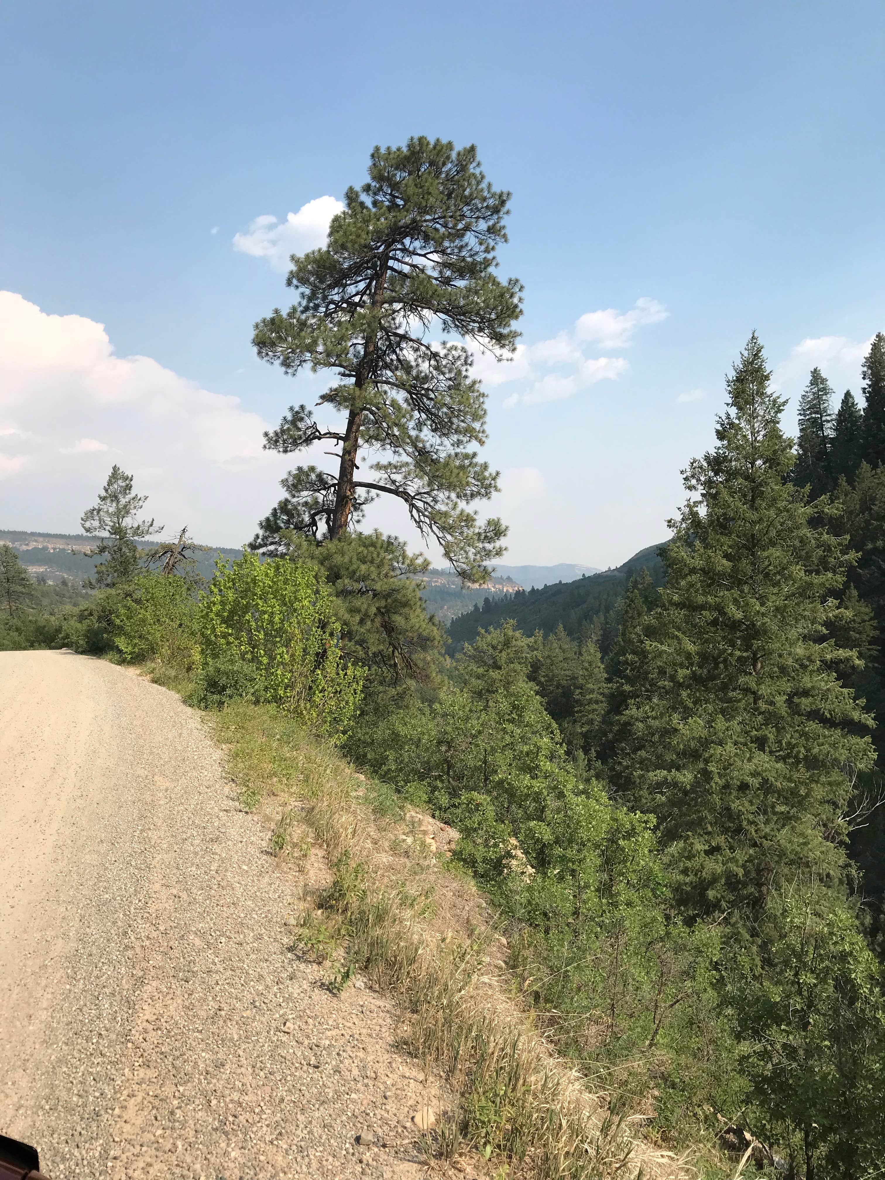 Junction Creek Campground | Purgatory, Colorado