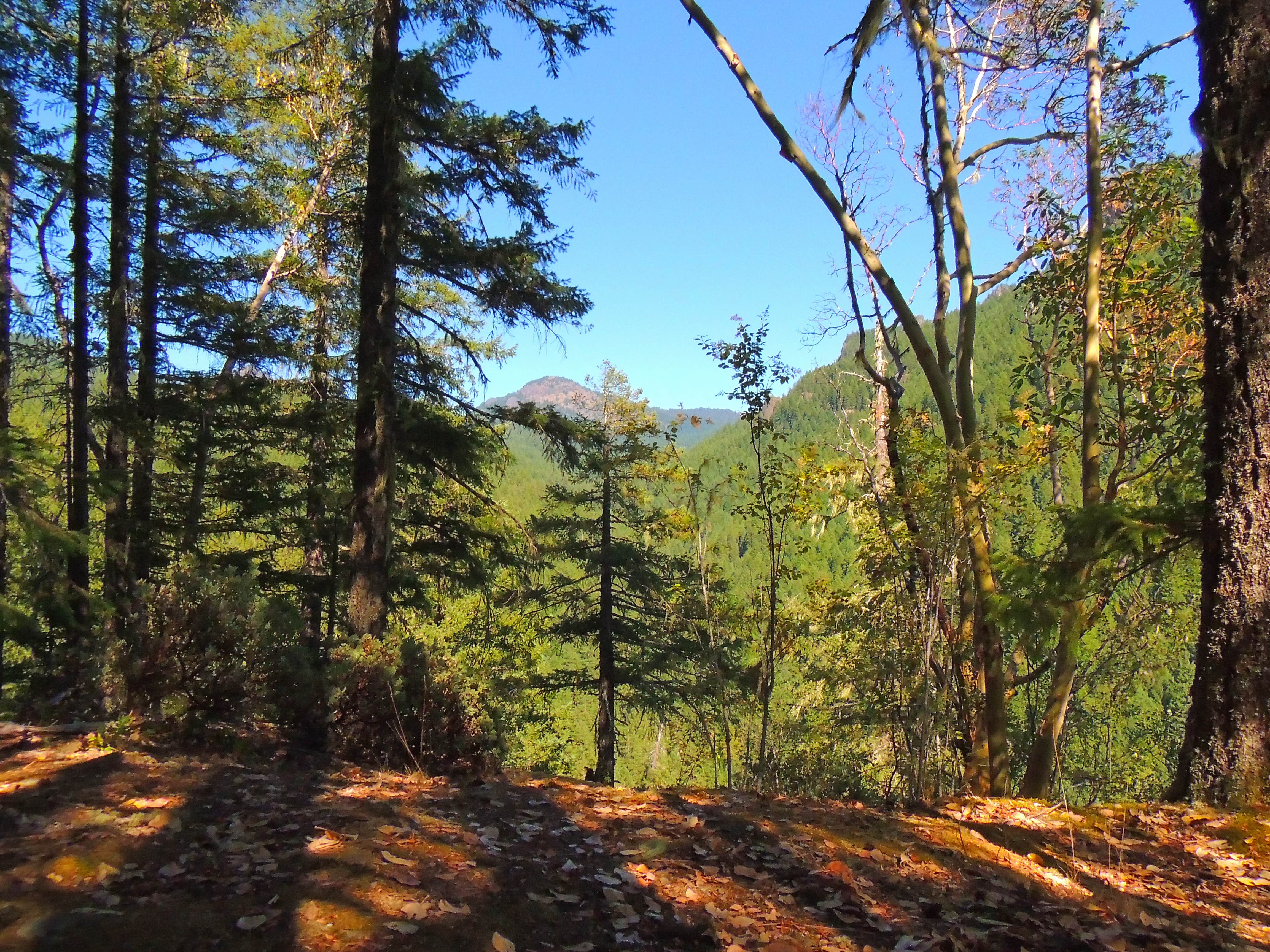 House Rock Campground | Cascadia, OR