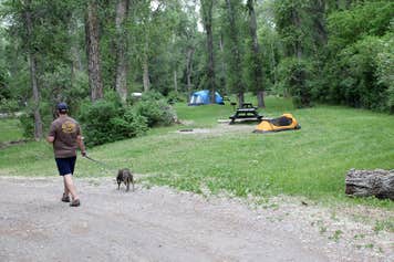 Rio Chama Campground | The Dyrt
