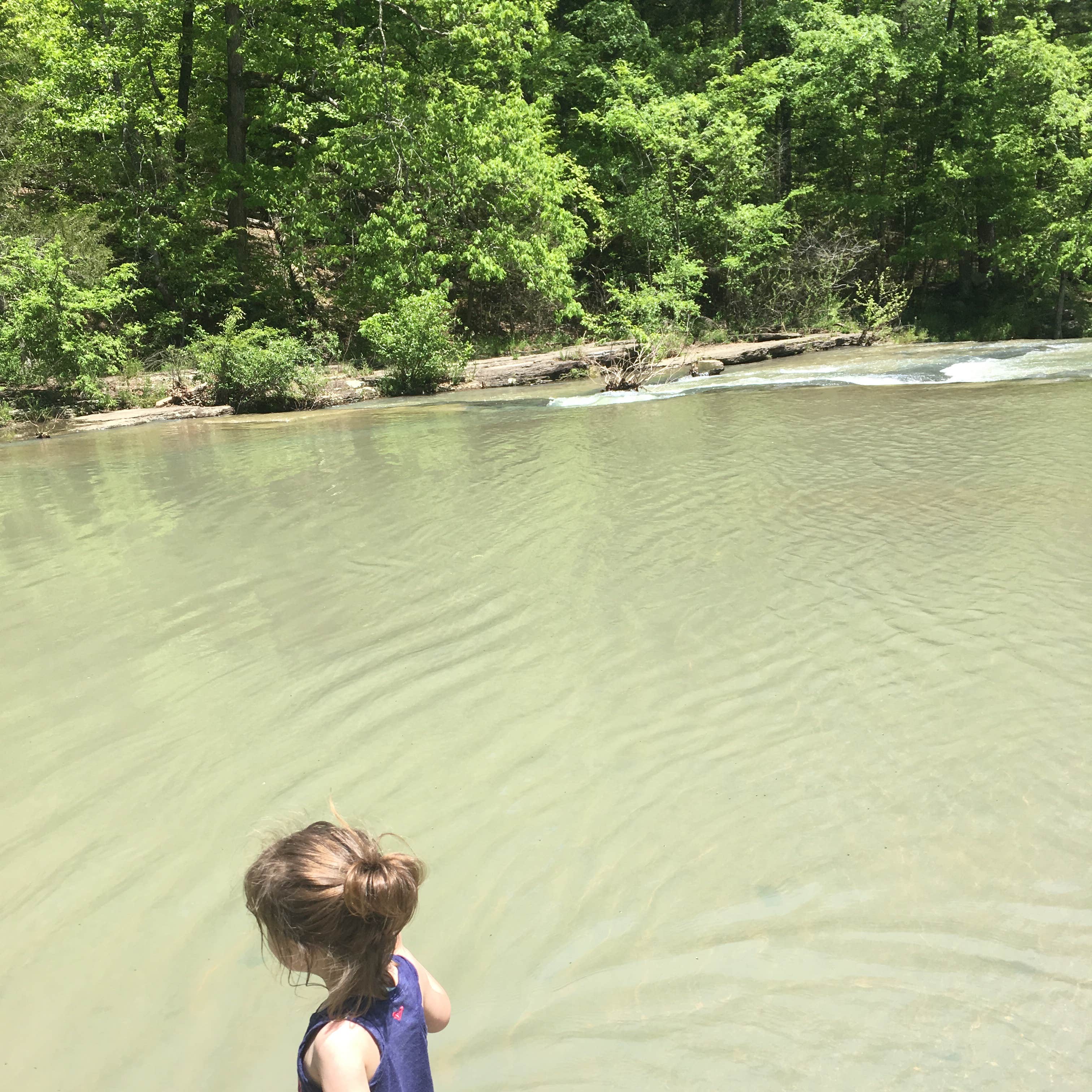 Haw Creek Falls Camping Camping | The Dyrt