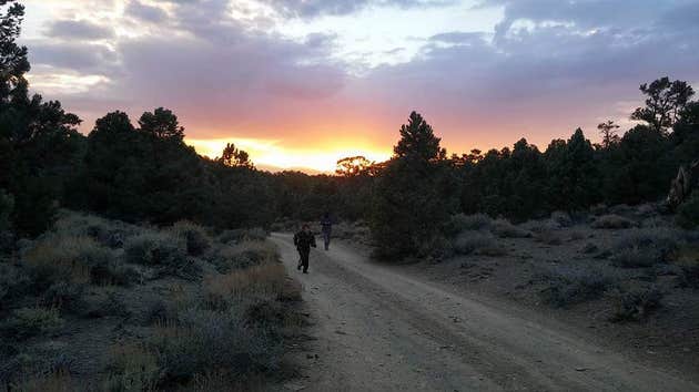 Grandview Campground Camping | The Dyrt