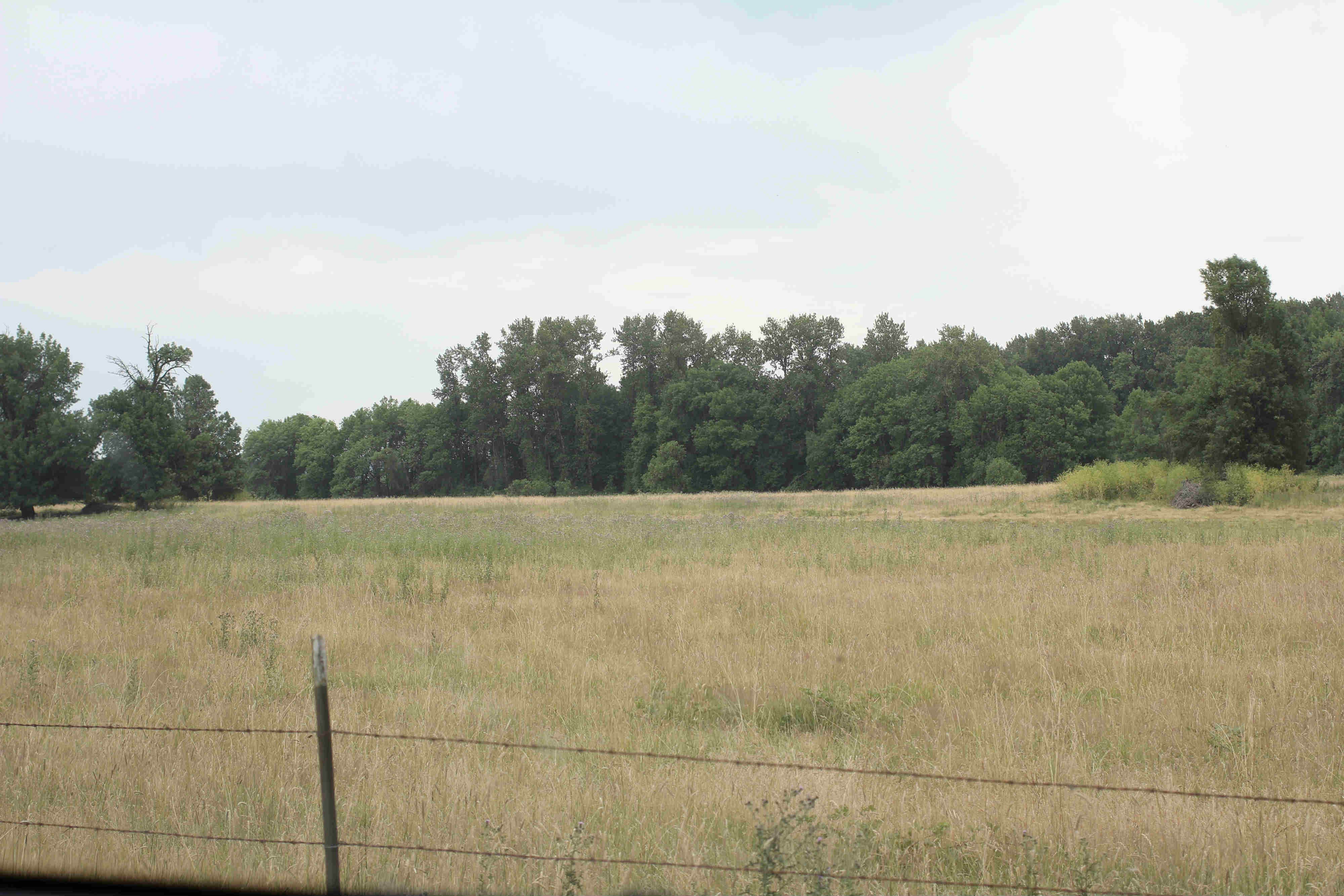 JJ Collins Marine Park Camping | Scappoose, OR