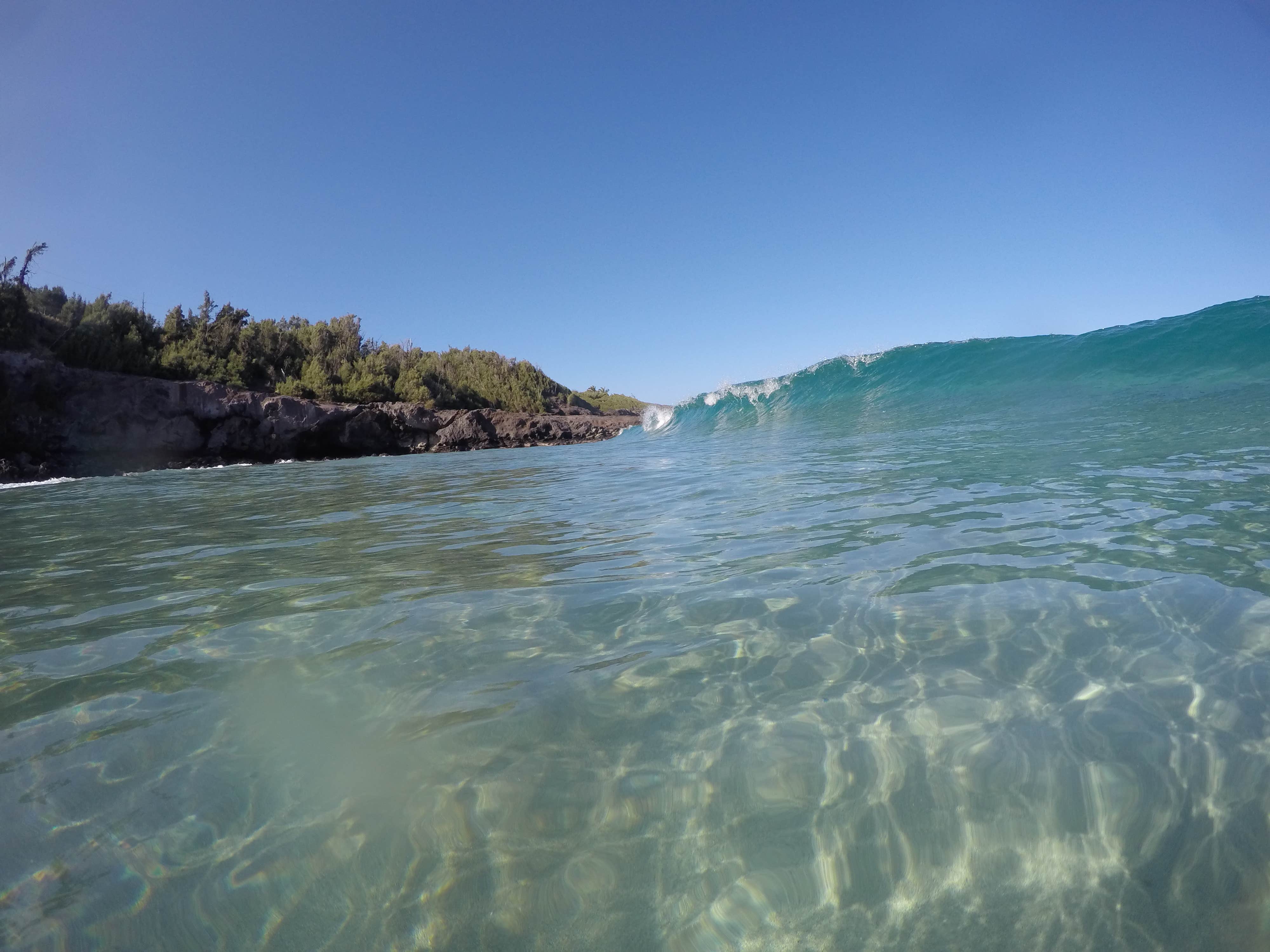 Polipoli Spring State Recreation Area Camping | The Dyrt