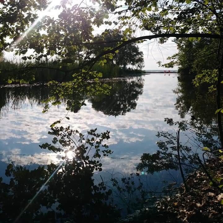 Forester Park Campground | Sandusky, Michigan