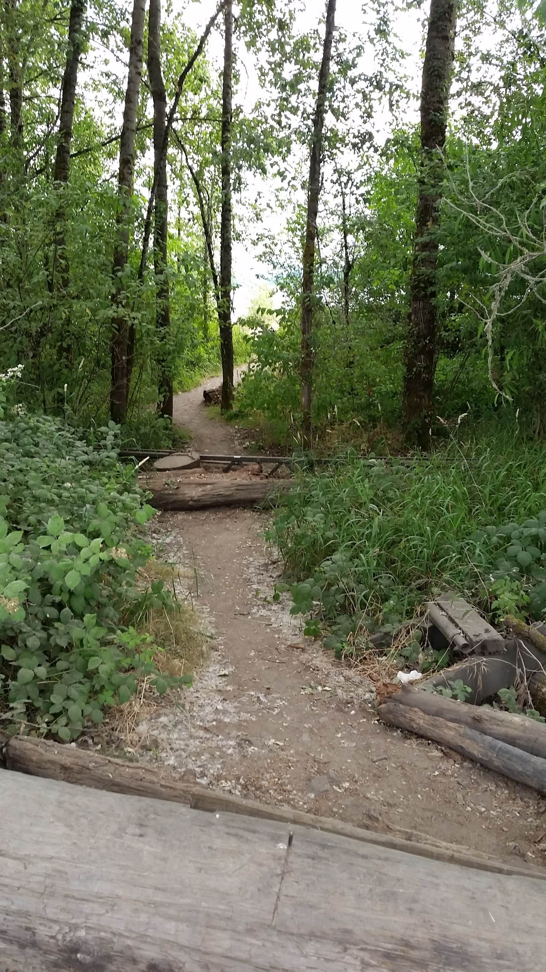 JJ Collins Marine Park Camping | Scappoose, OR