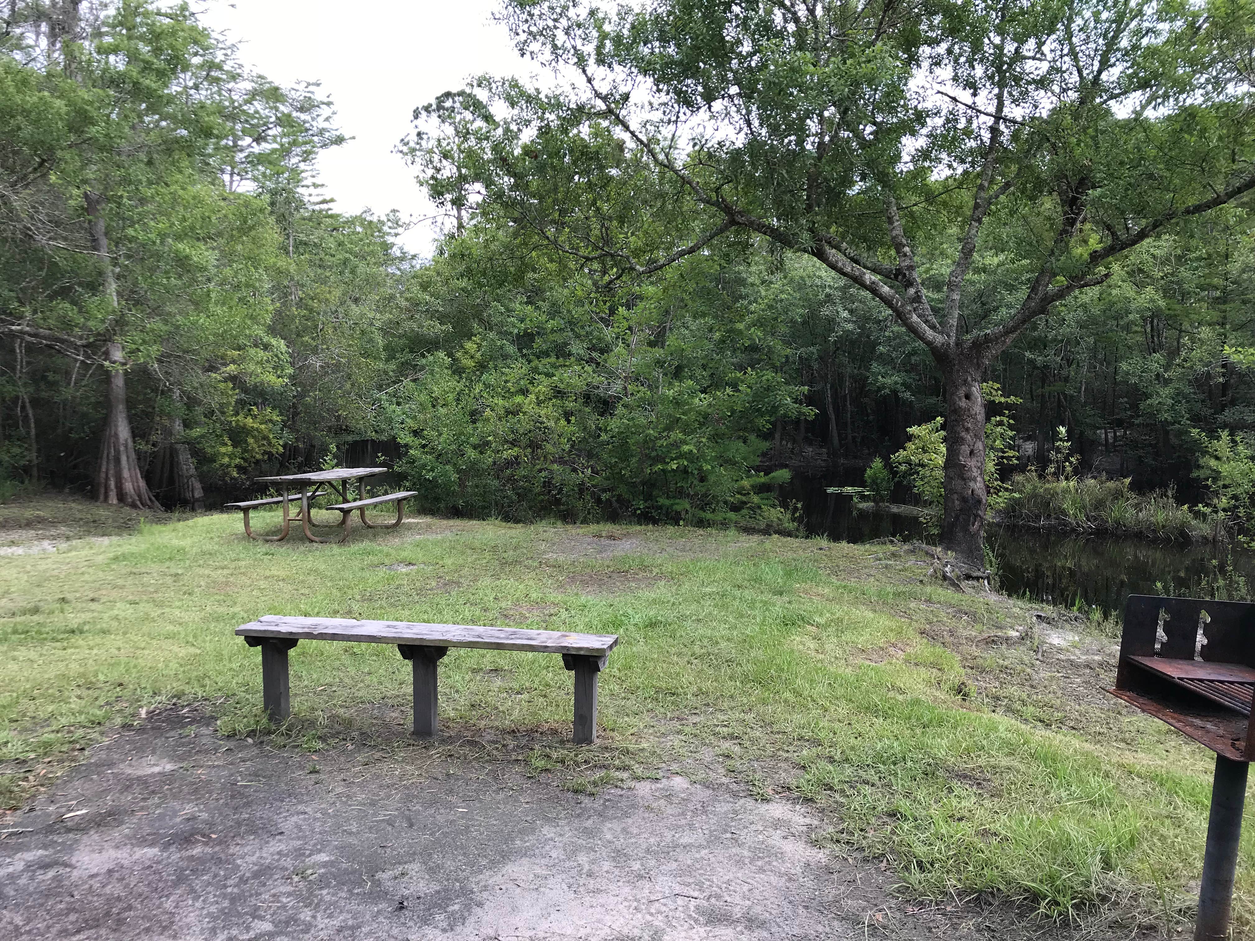 Sand Pond Campground - Pine Log State Forest | Ebro, FL