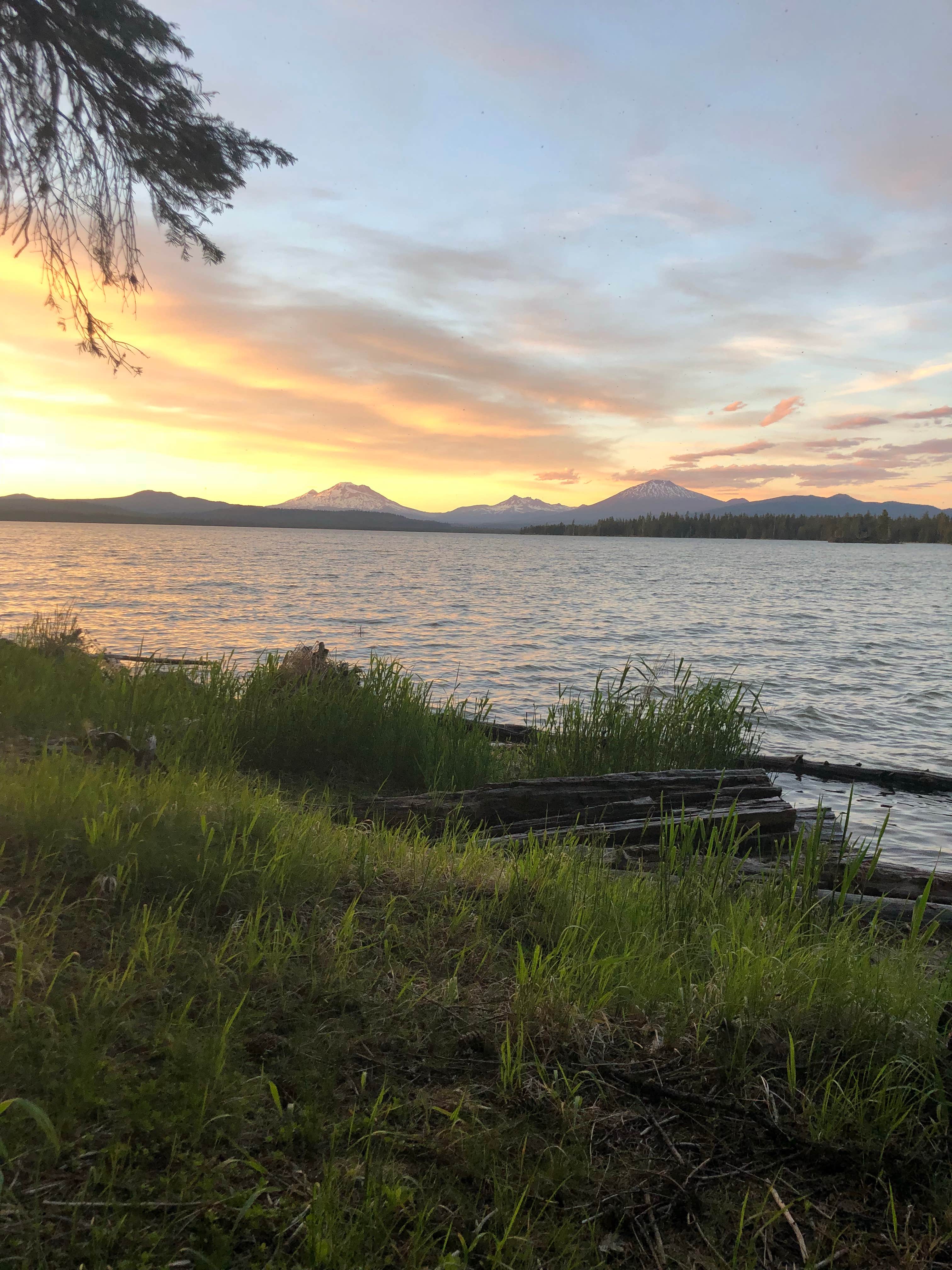 Crane Prairie Campground Camping | The Dyrt