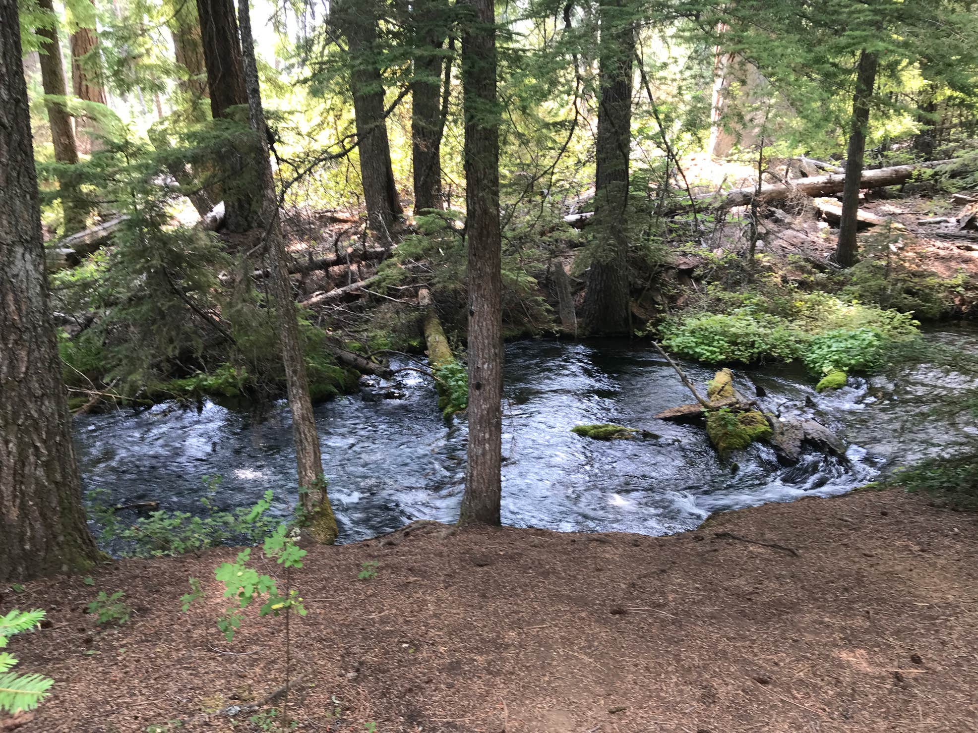 Jack Creek Campground Camping | The Dyrt