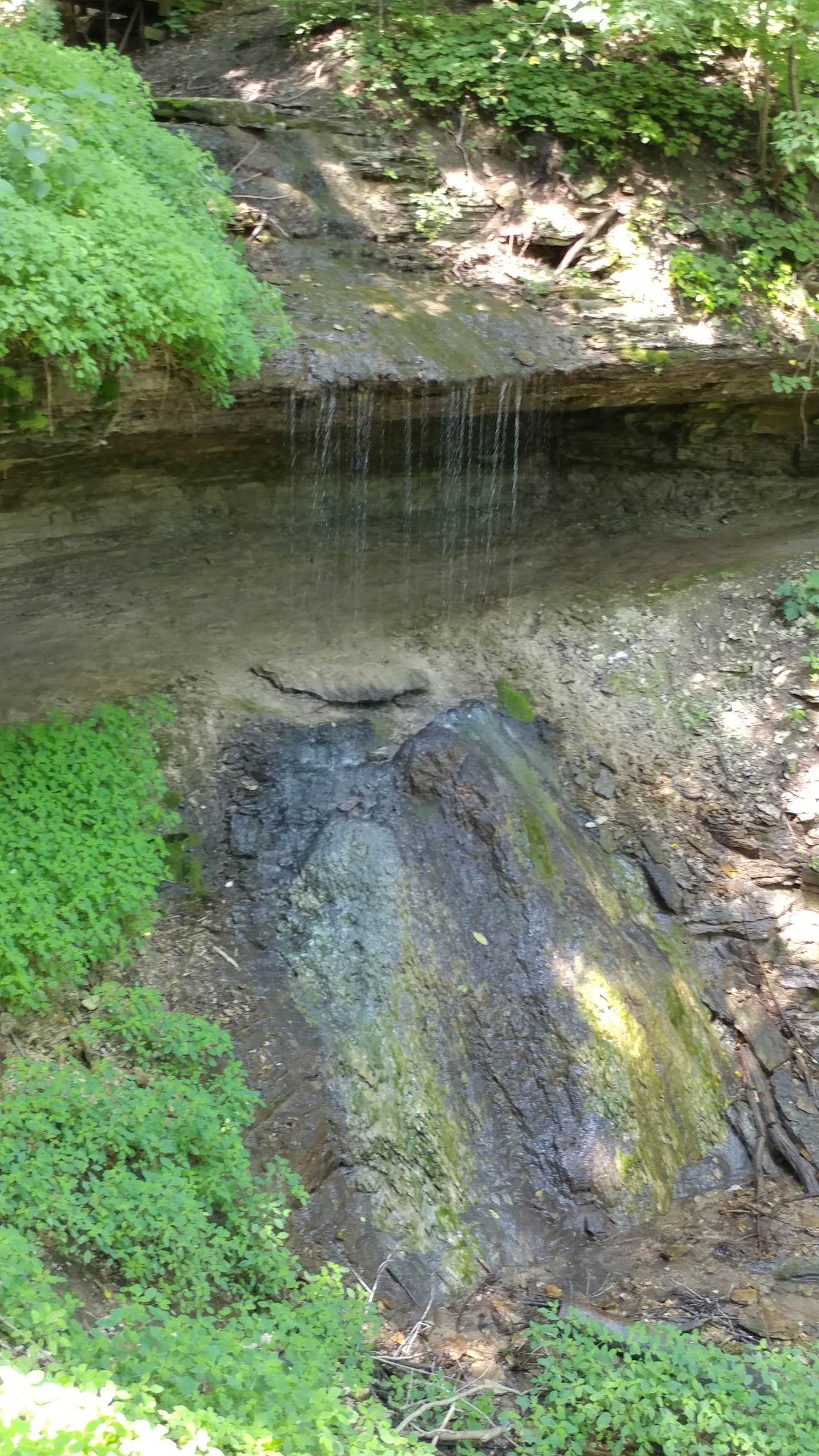 Pikes Peak State Park Campground | McGregor, IA