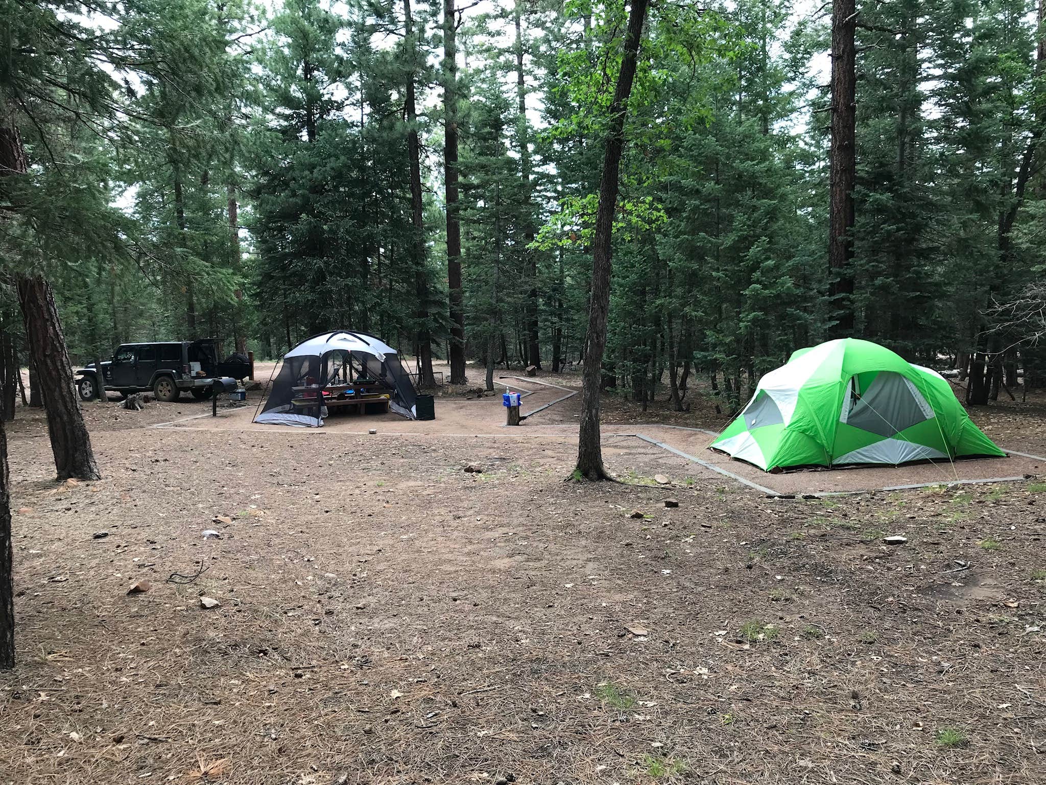 Knoll Lake Campground | Kohls Ranch, Arizona