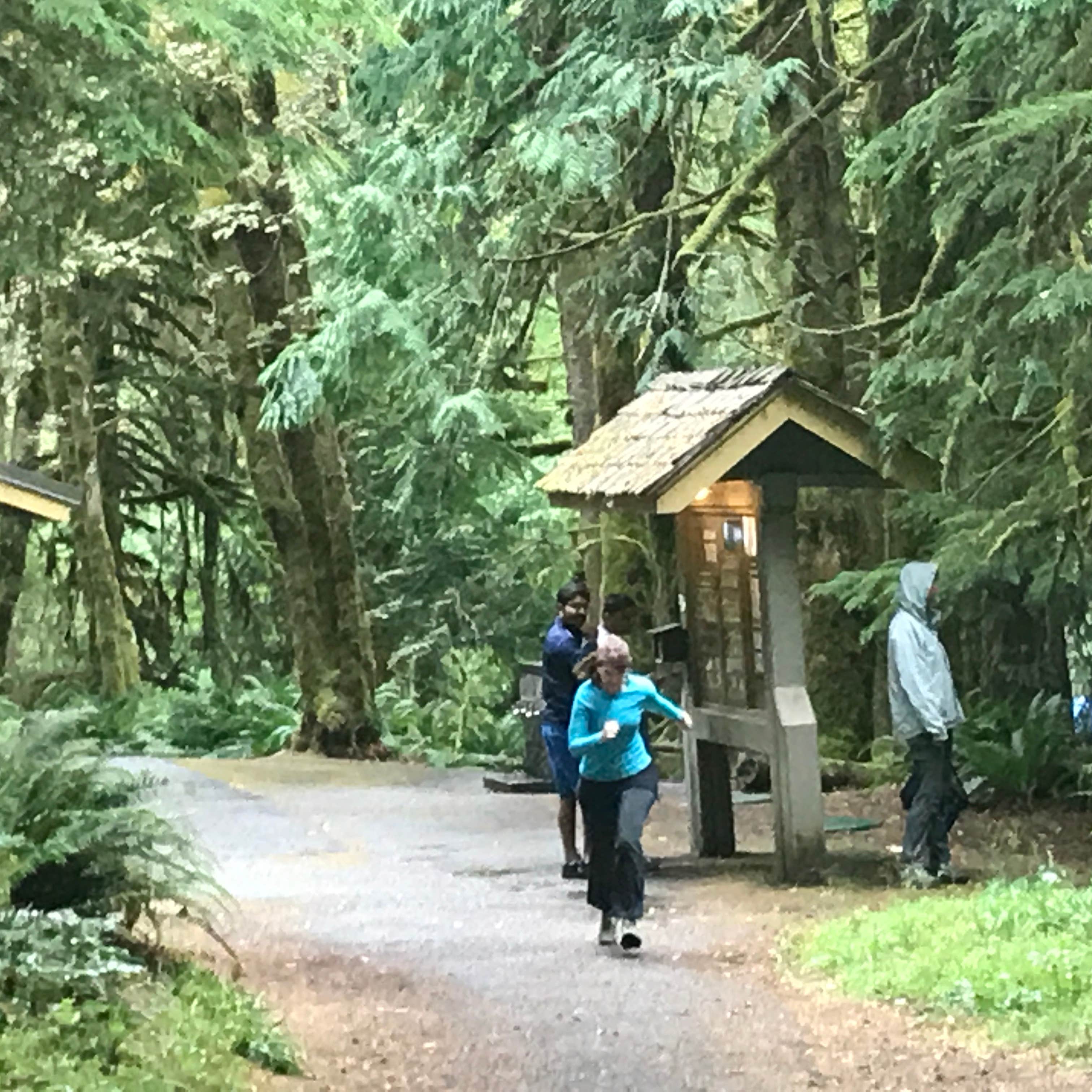 Fairholme Campground - Olympic National Park Camping | The Dyrt