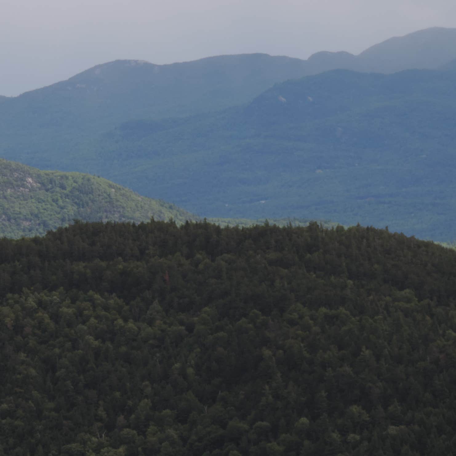 Wilmington Notch Camping | The Dyrt