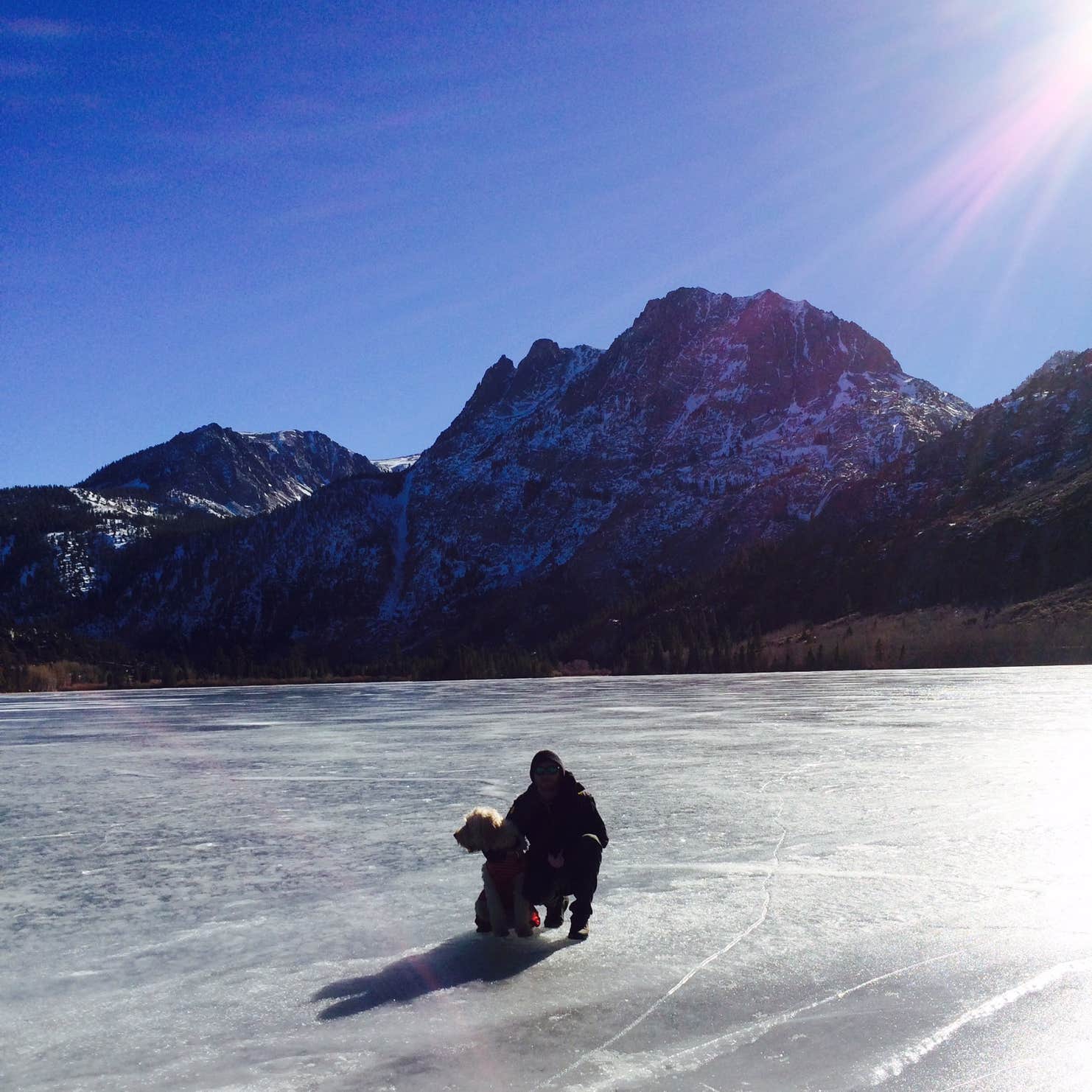 June Lake Camping | The Dyrt