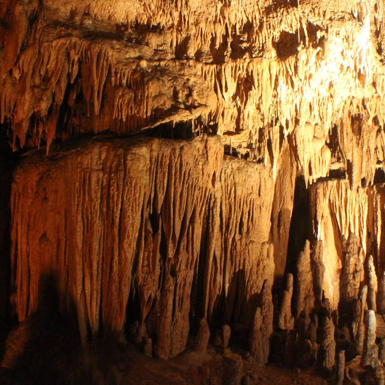 Onondaga Cave State Park Camping | The Dyrt