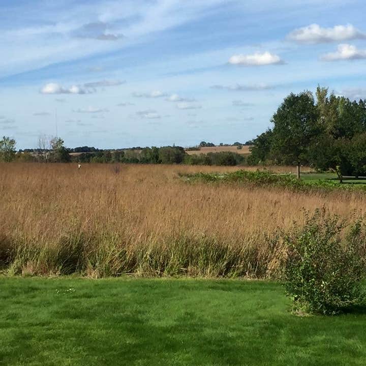 Chester Woods Park Camping | The Dyrt