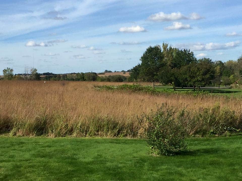 Chester Woods Park Camping | Eyota, MN