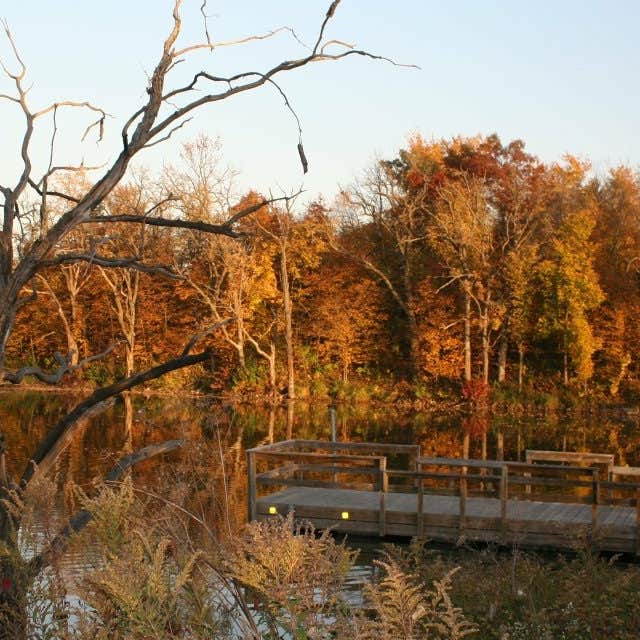 Chester Woods Park Camping | The Dyrt