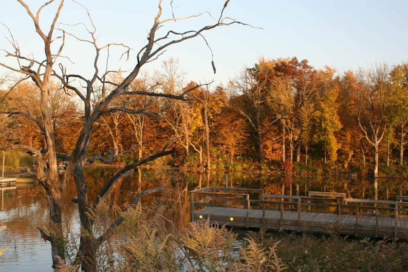 Chester Woods Park | The Dyrt