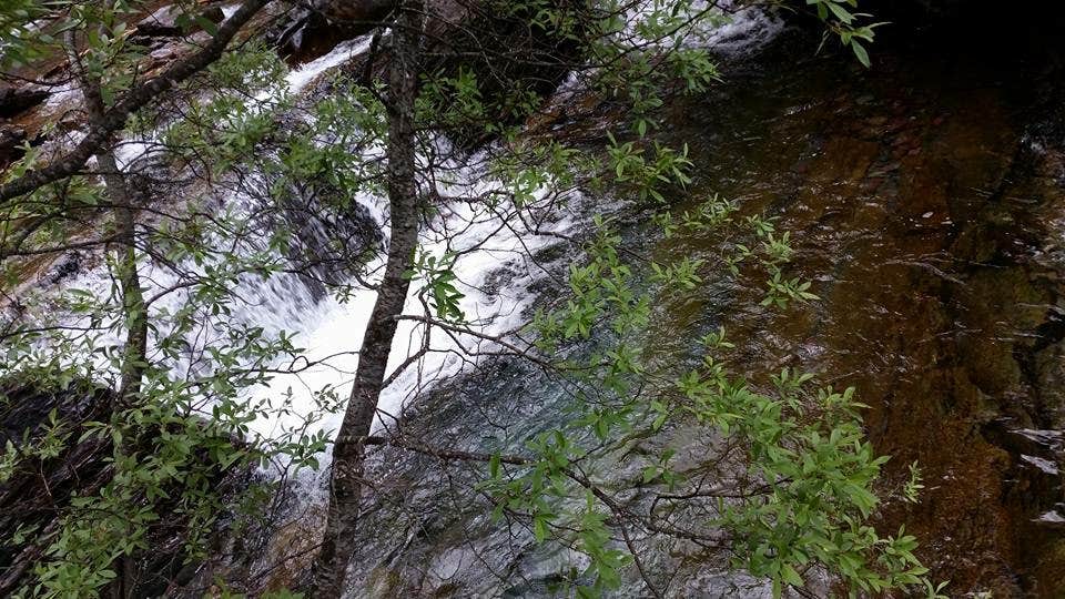 Lake Alva Campground | The Dyrt