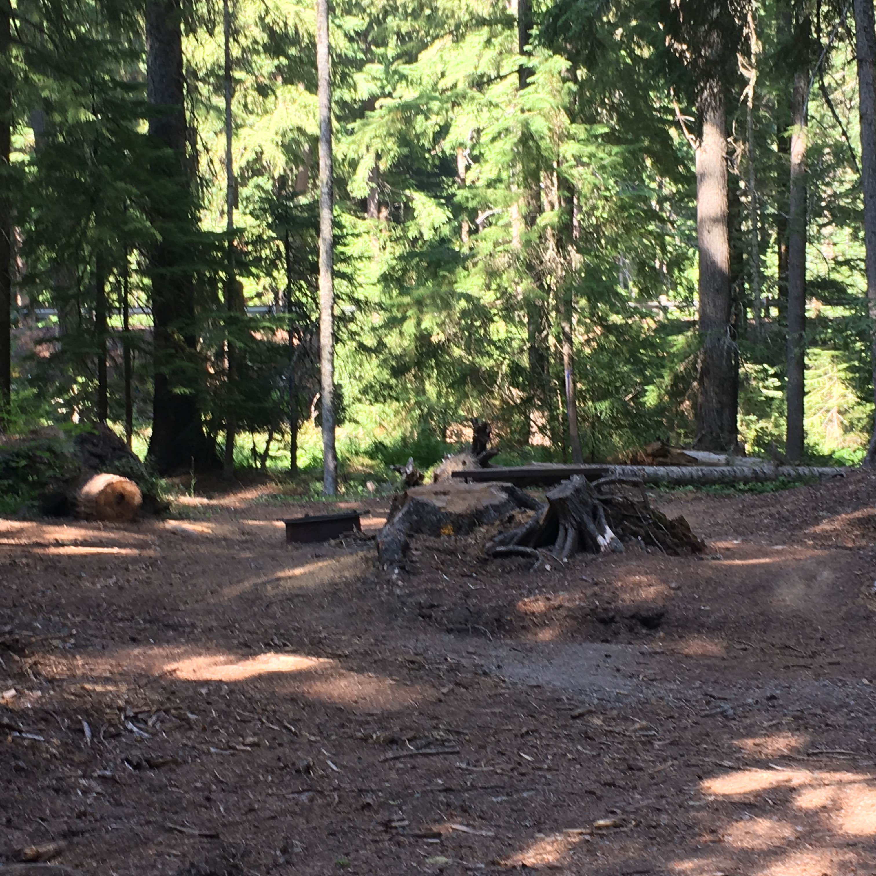 Escape To Oregon's Emerald Gem: Frissell Crossing Campground