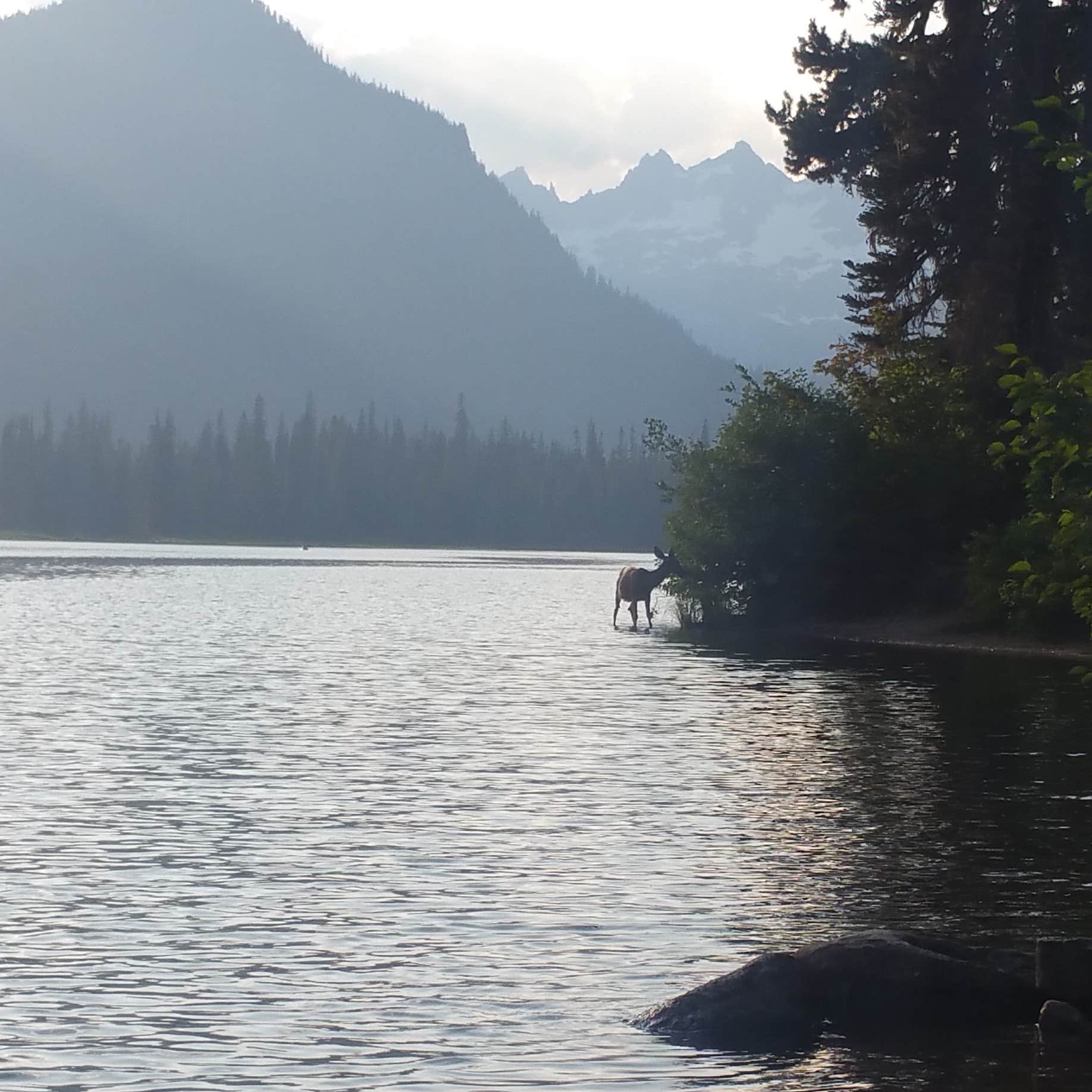 Owhi Campground Camping | The Dyrt
