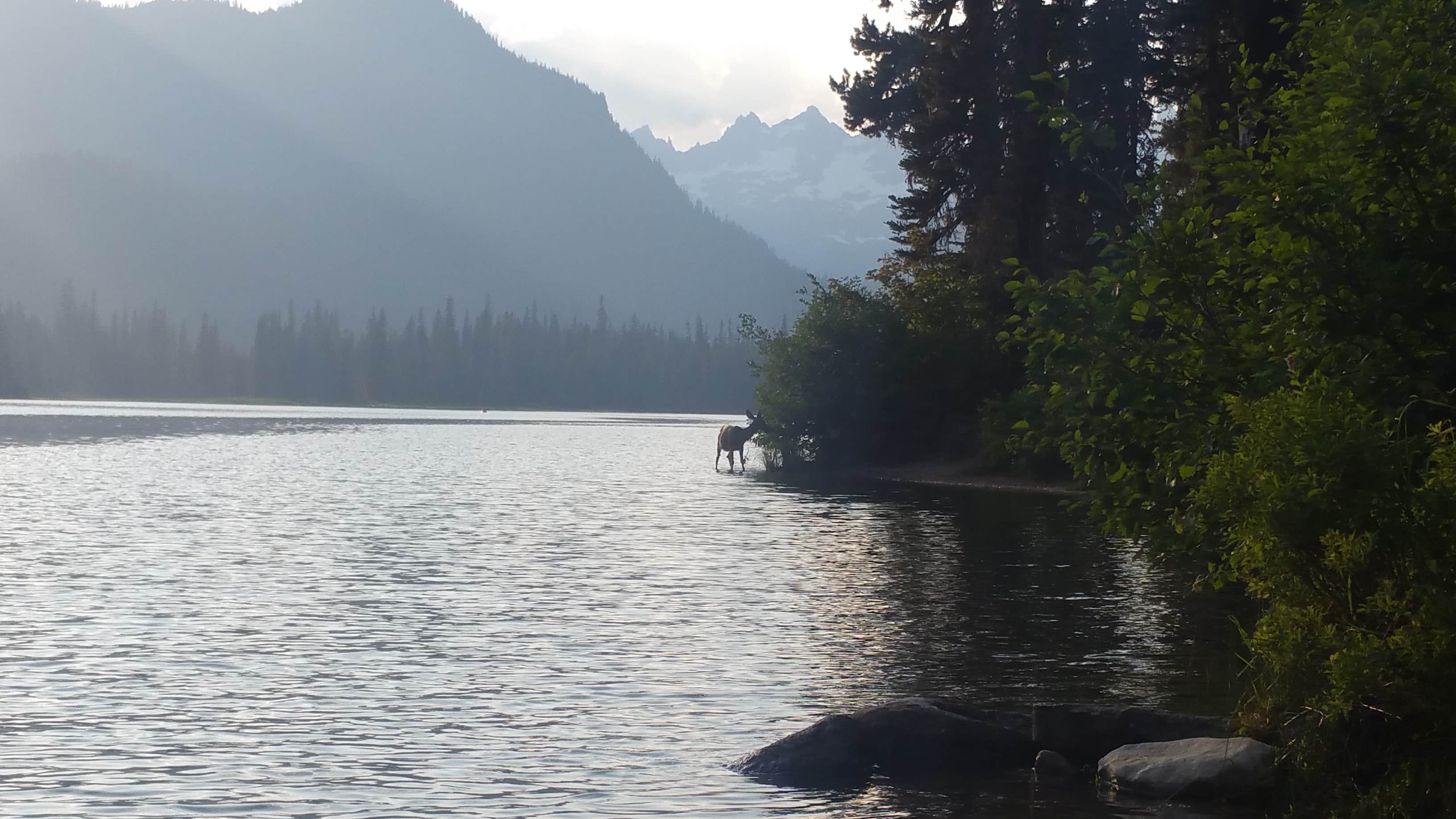 Owhi Campground | Snoqualmie Pass, Washington