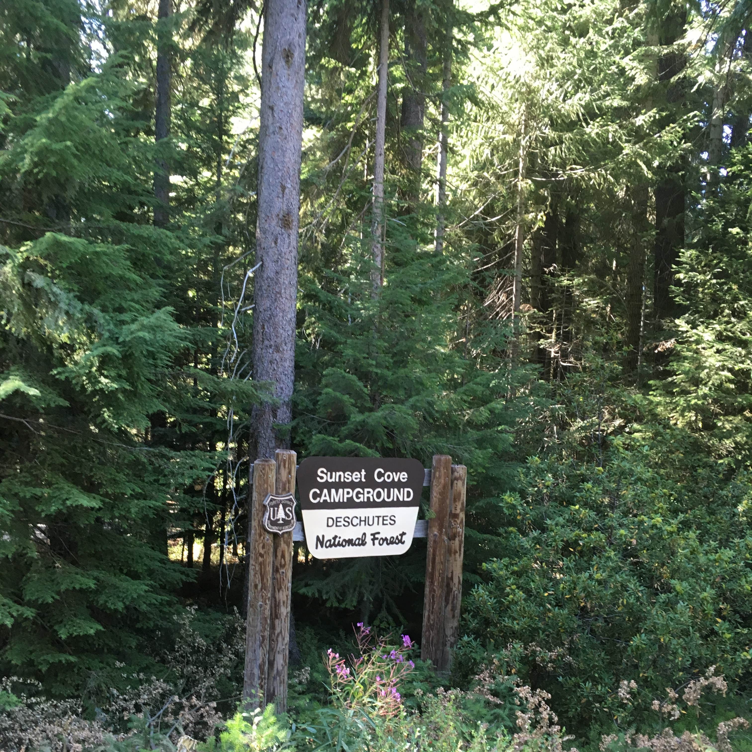 Shady Cove Campground Camping | The Dyrt