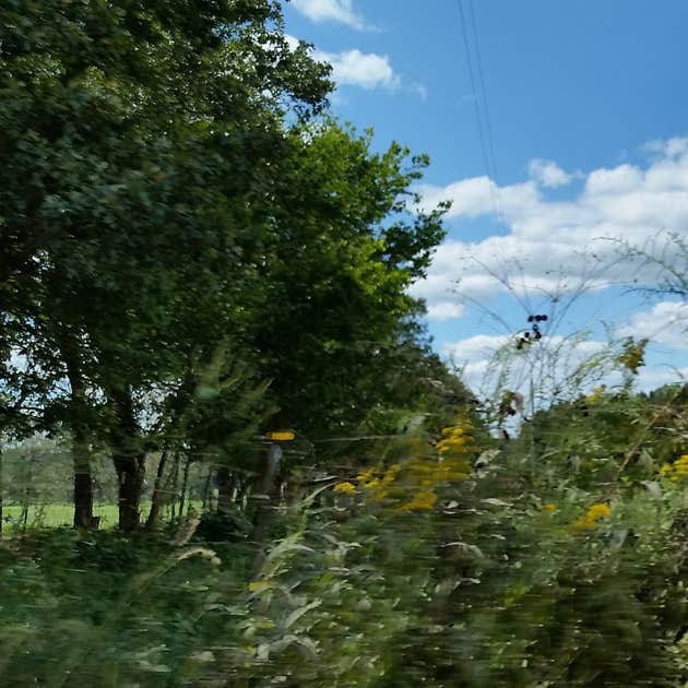 Cane Bluff River Access Camping | Alton, Missouri