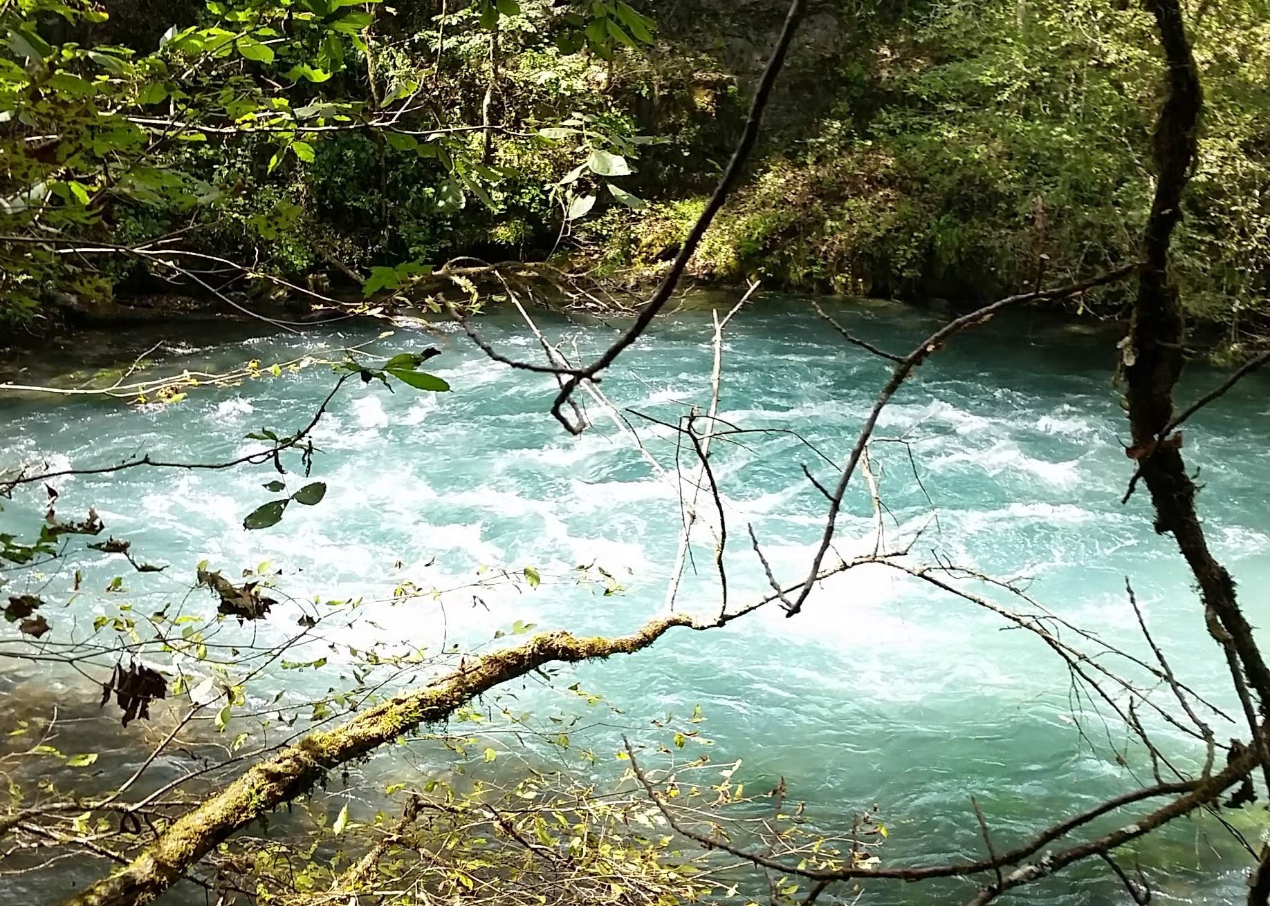 Cane Bluff River Access Camping | The Dyrt