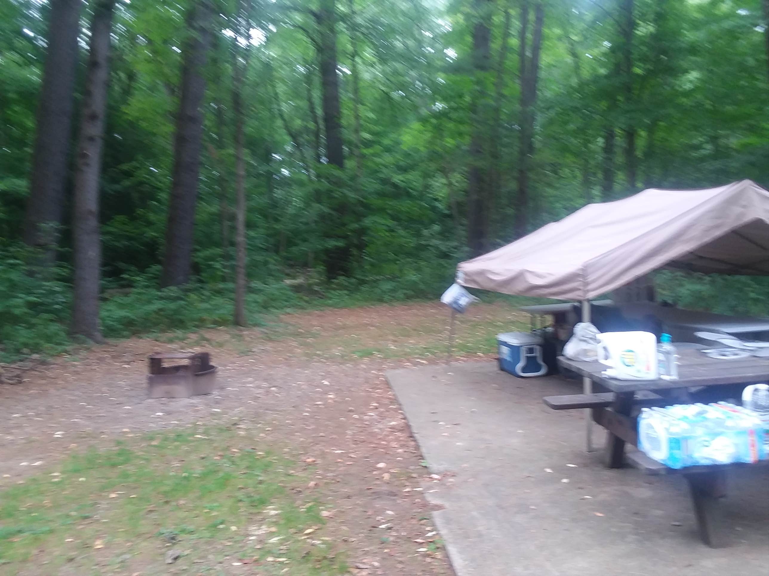 Buckaloons Camping | Irvine, Pennsylvania