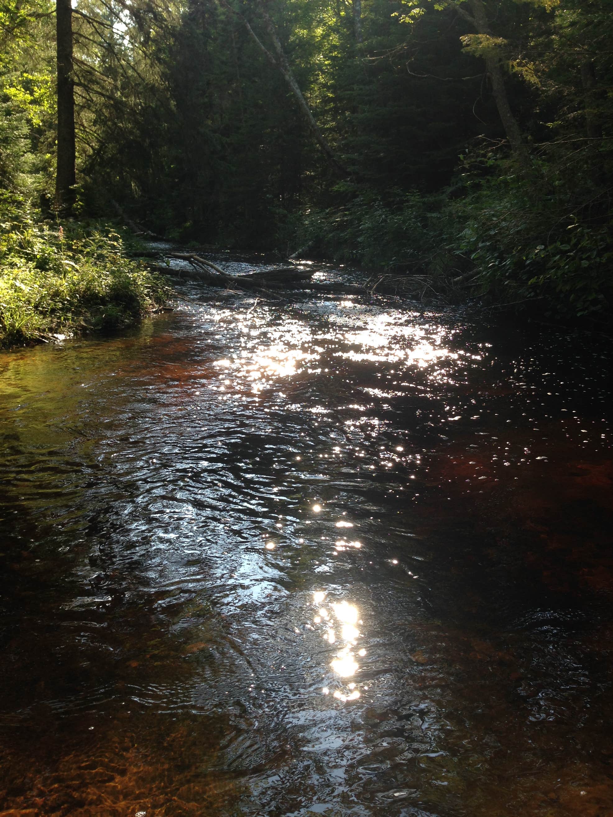 Chapel Beach | The Dyrt