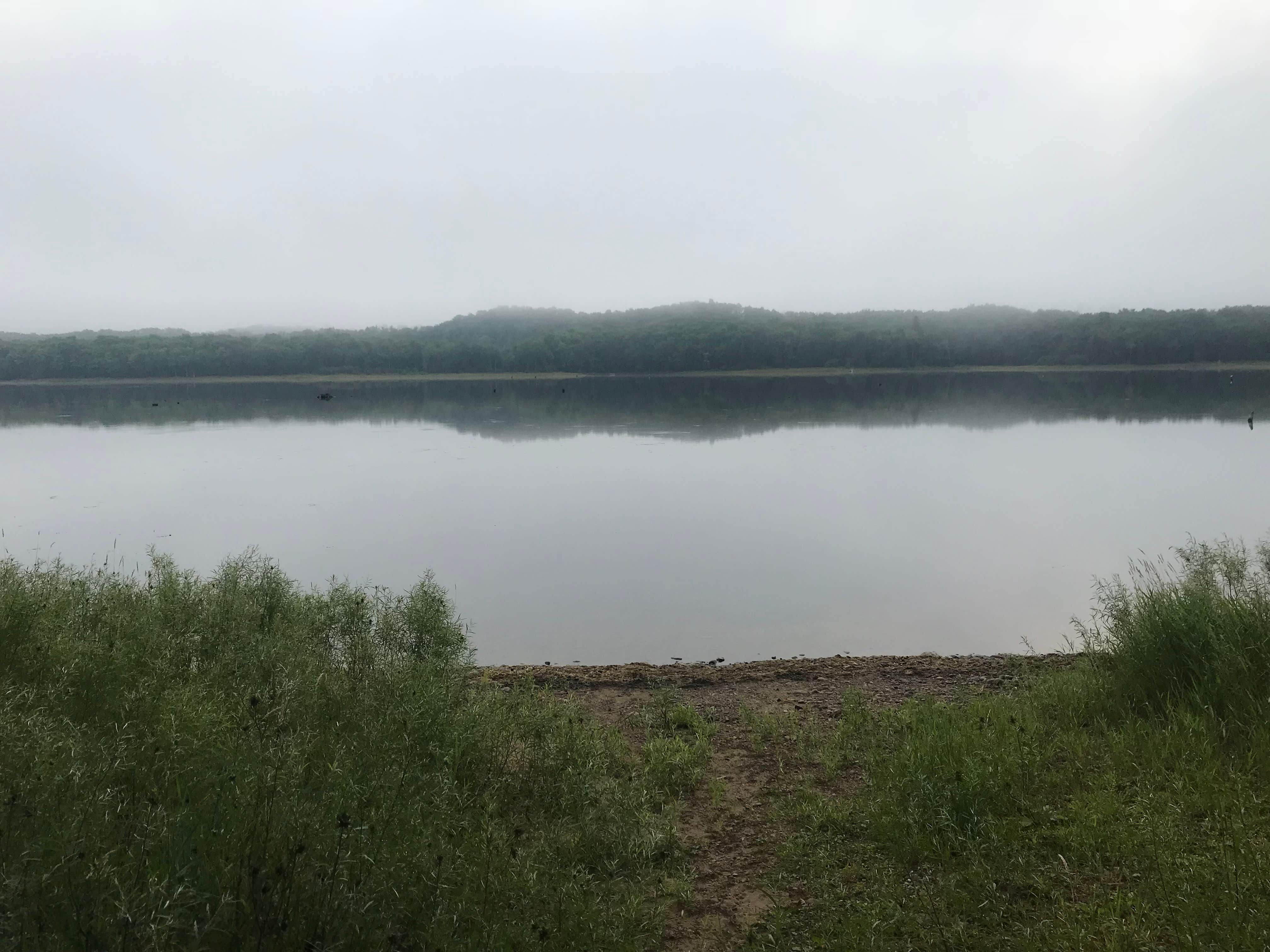 Forest Lake State Forest Campground Camping | The Dyrt