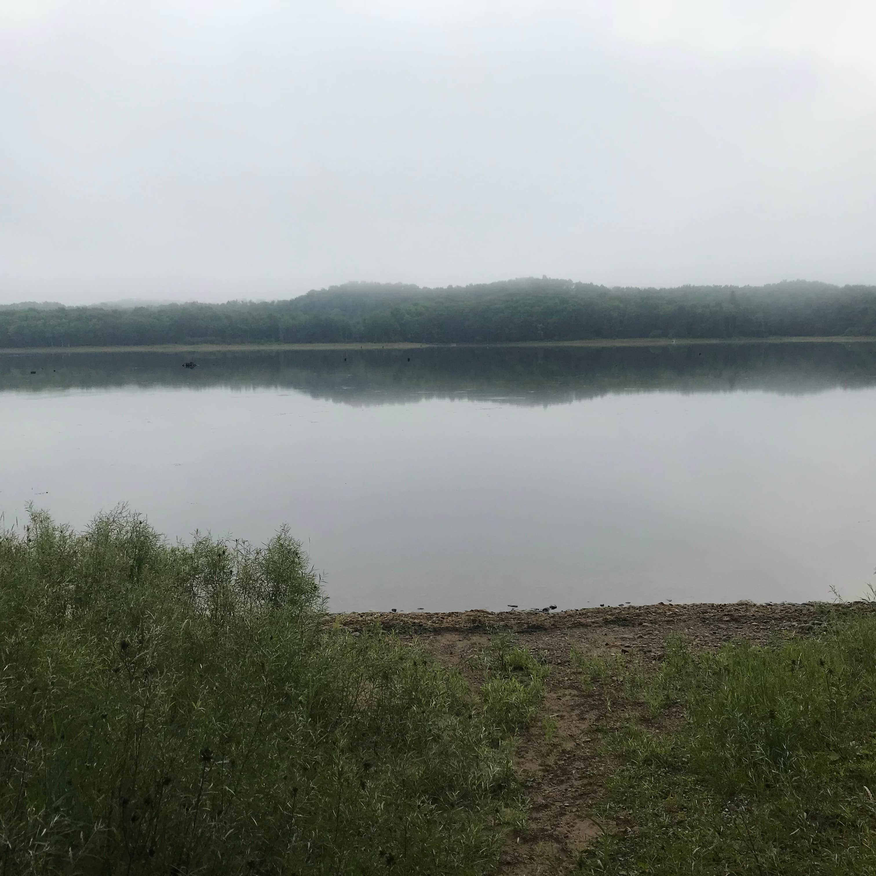 Forest Lake State Forest Campground Camping | The Dyrt